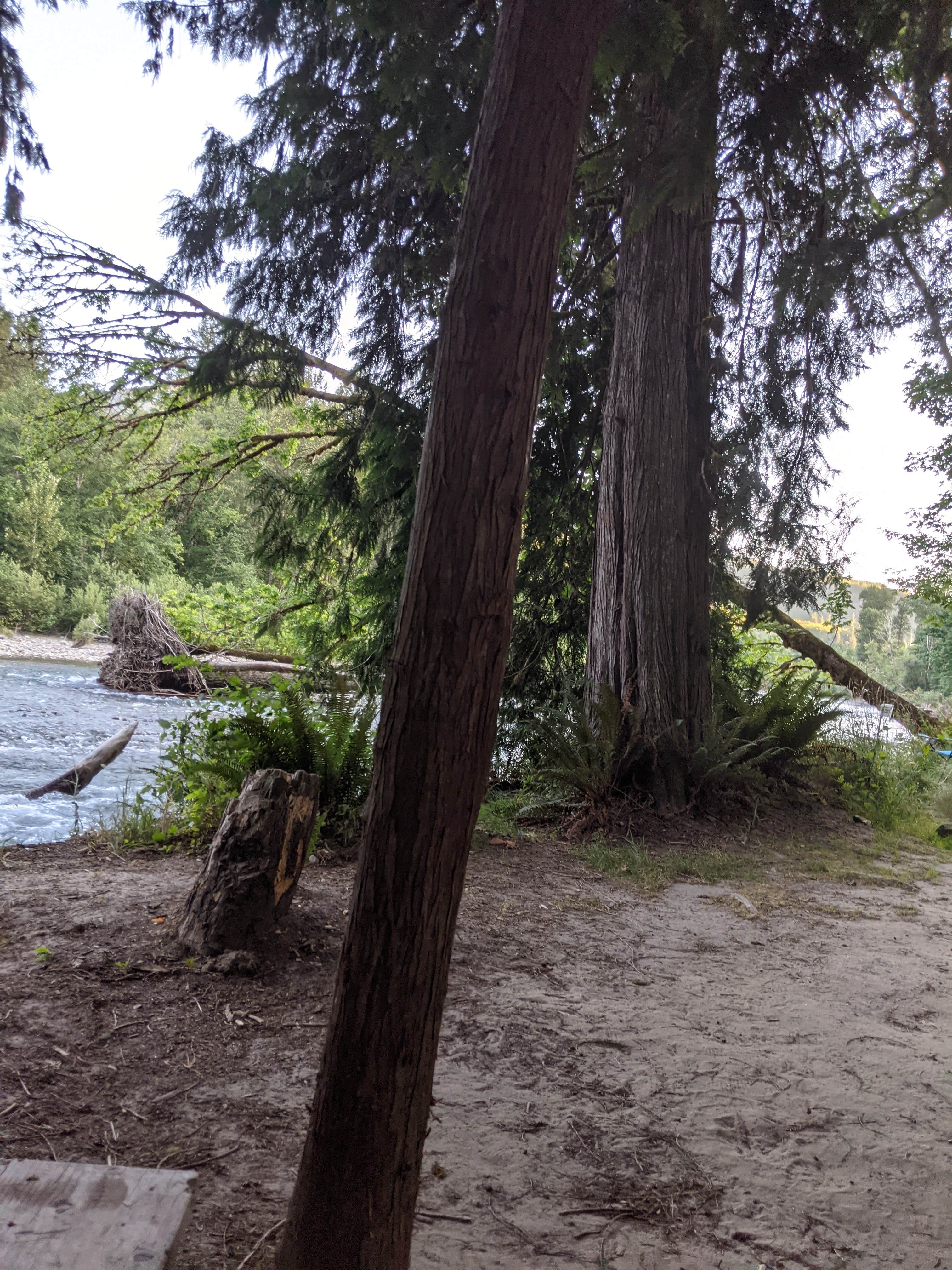 Cascade Wagon Road Campground | Marblemount, WA