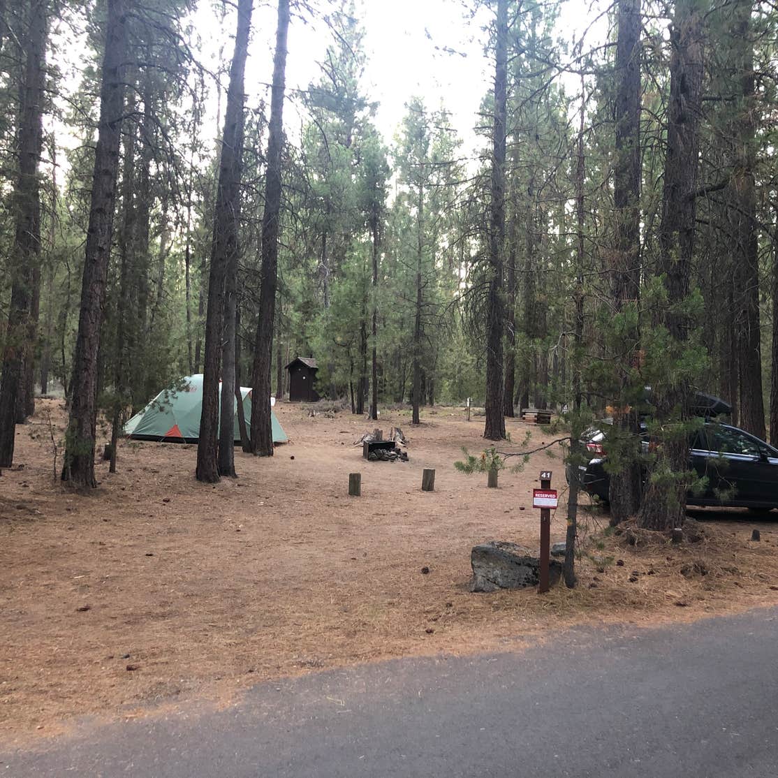 Gull Point Campground Camping | The Dyrt