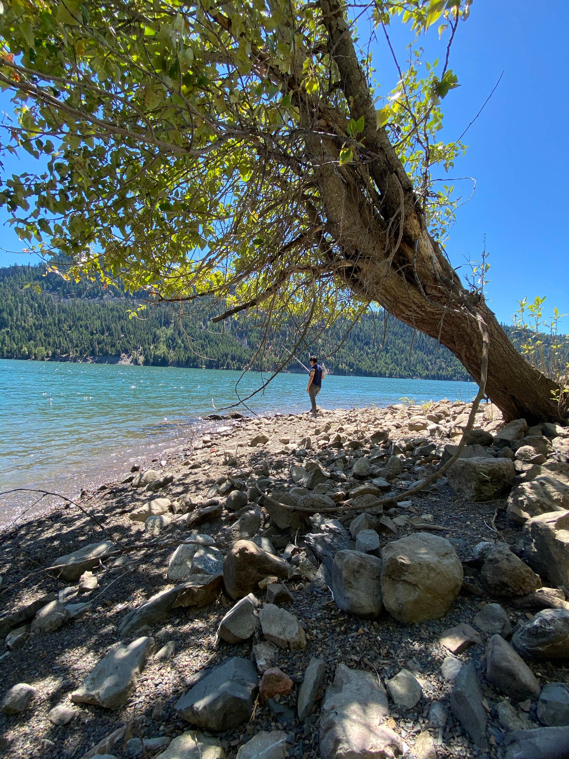 Rimrock Lake Resort Camping | The Dyrt