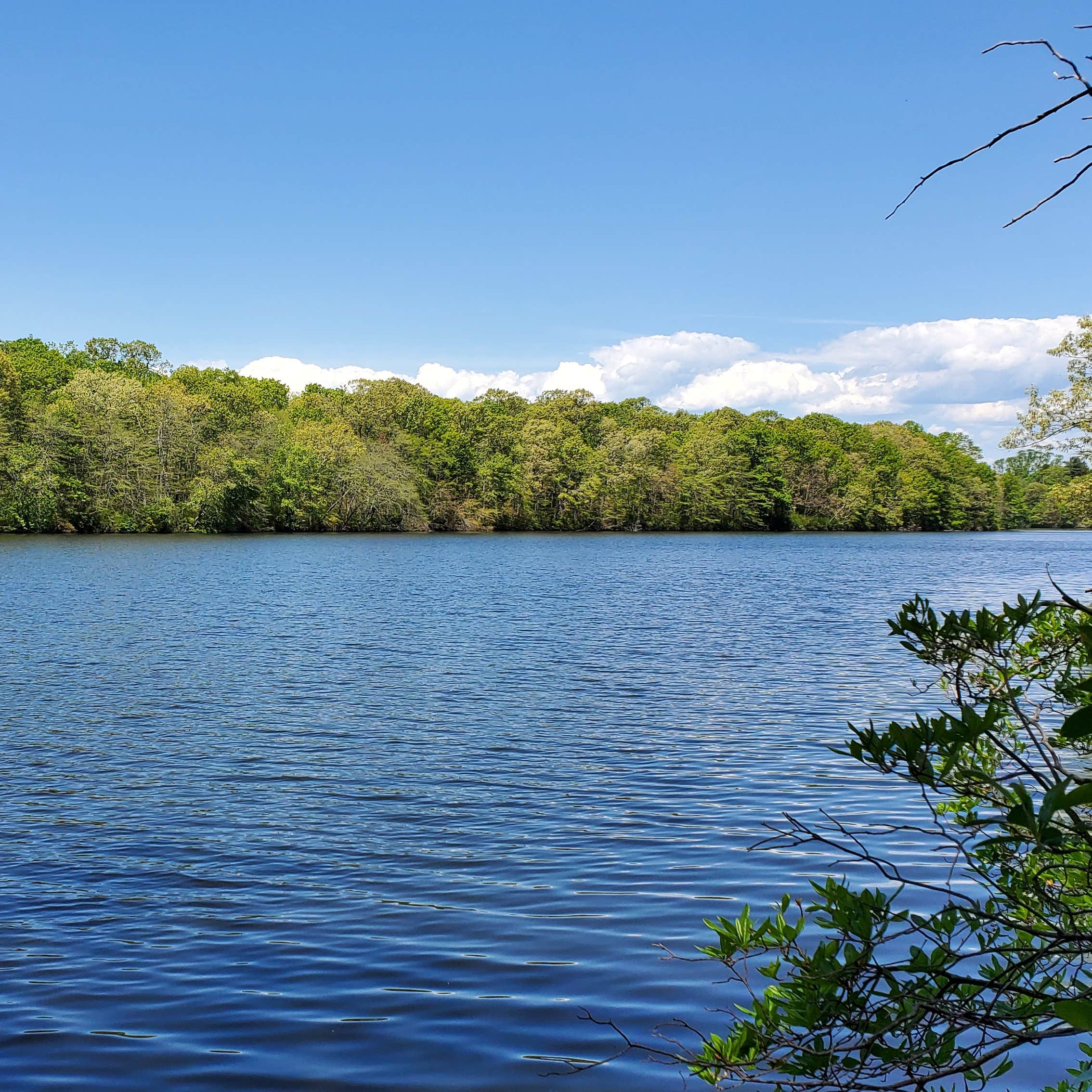 Blydenburgh County Park Camping | The Dyrt