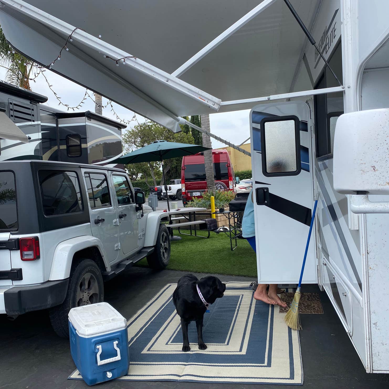 Anaheim Harbor RV Park Camping | The Dyrt
