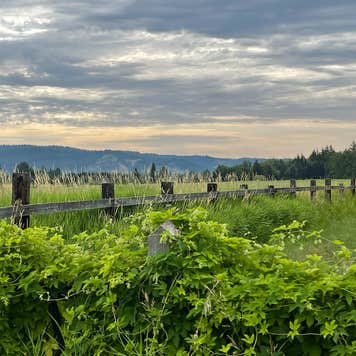 Hollenbeck Park Camping | Trout Lake, Washington