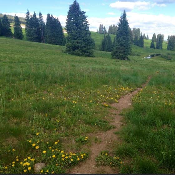 Line Shack Cabin Camping | The Dyrt