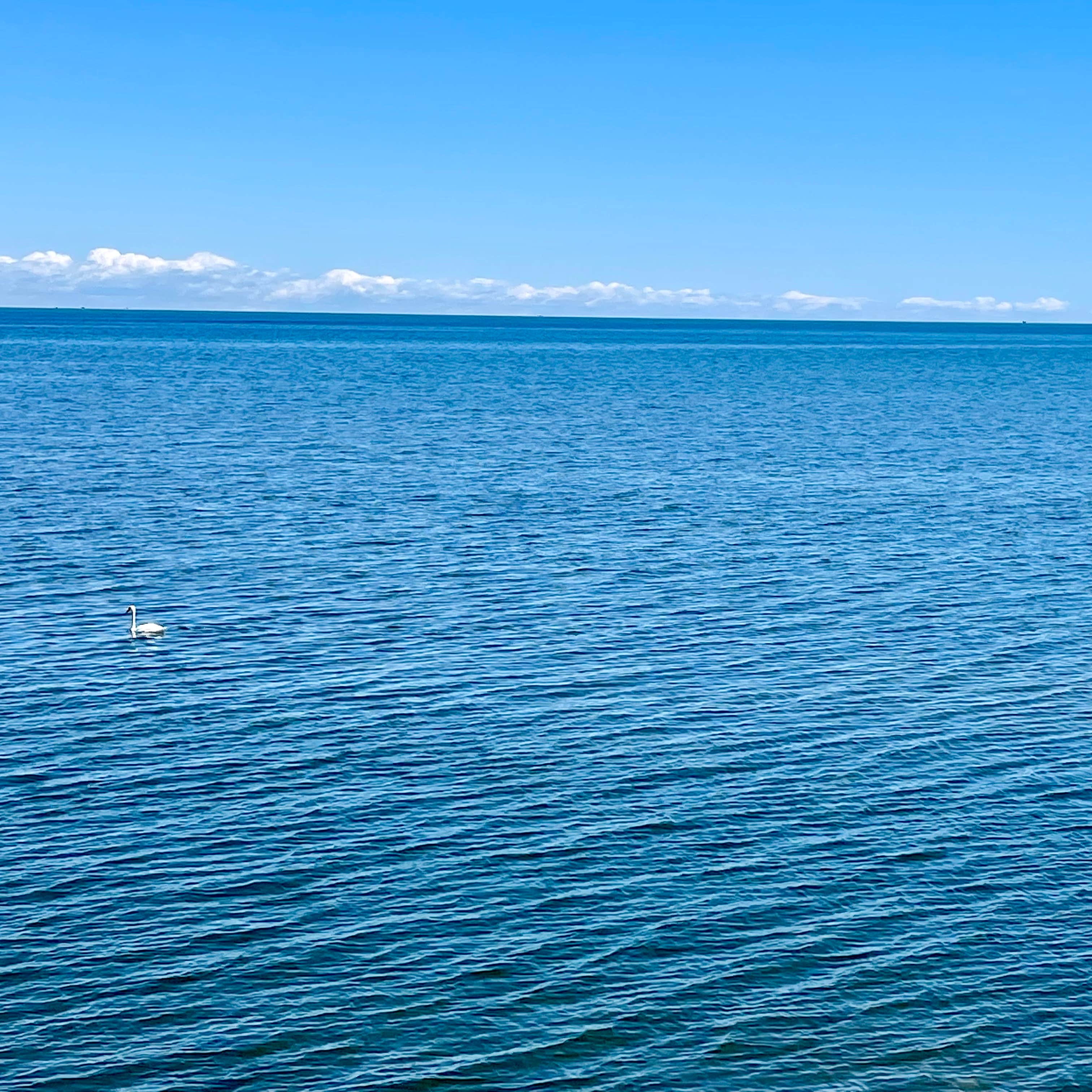 Lakeside State Park Campground | Albion, New York