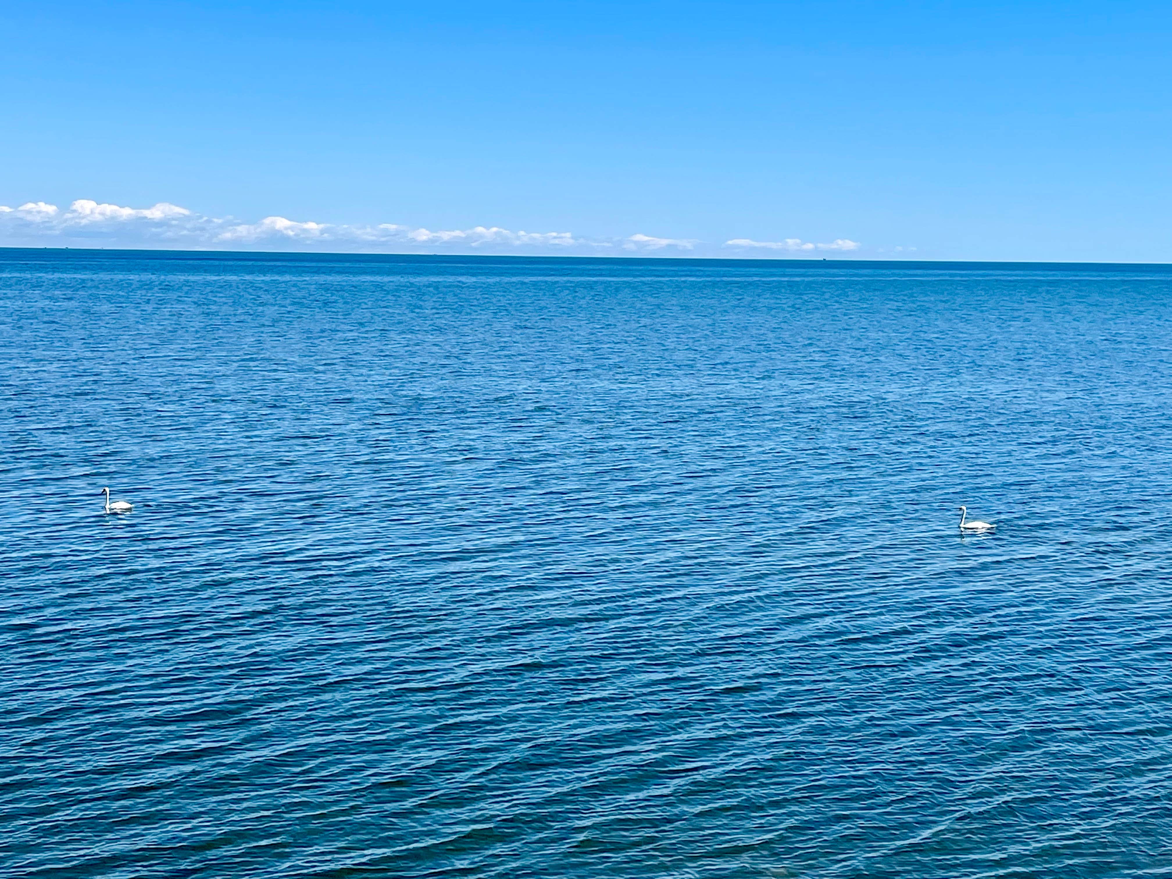 Lakeside State Park Campground | Albion, New York
