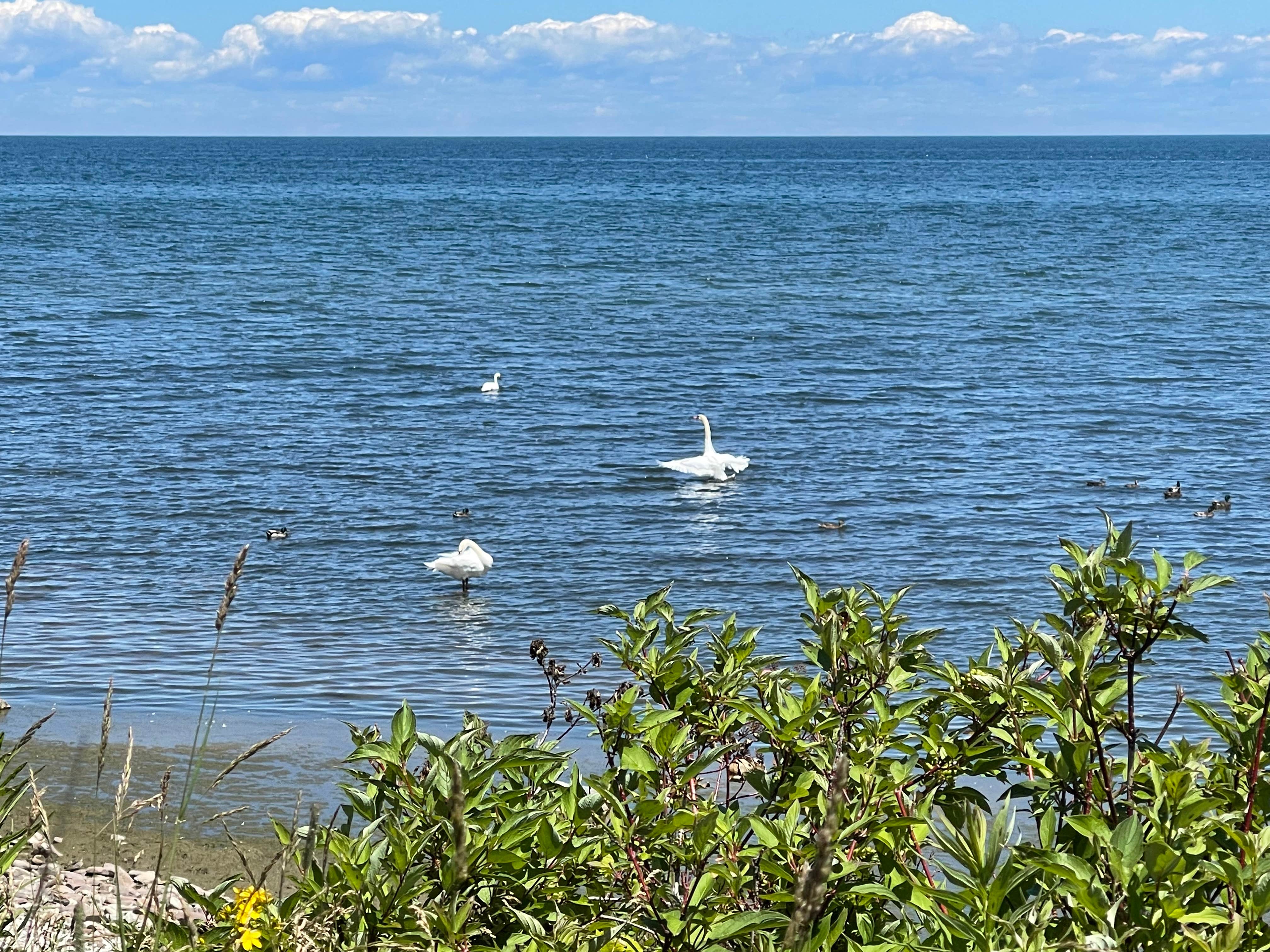 Lakeside State Park Campground | Albion, New York