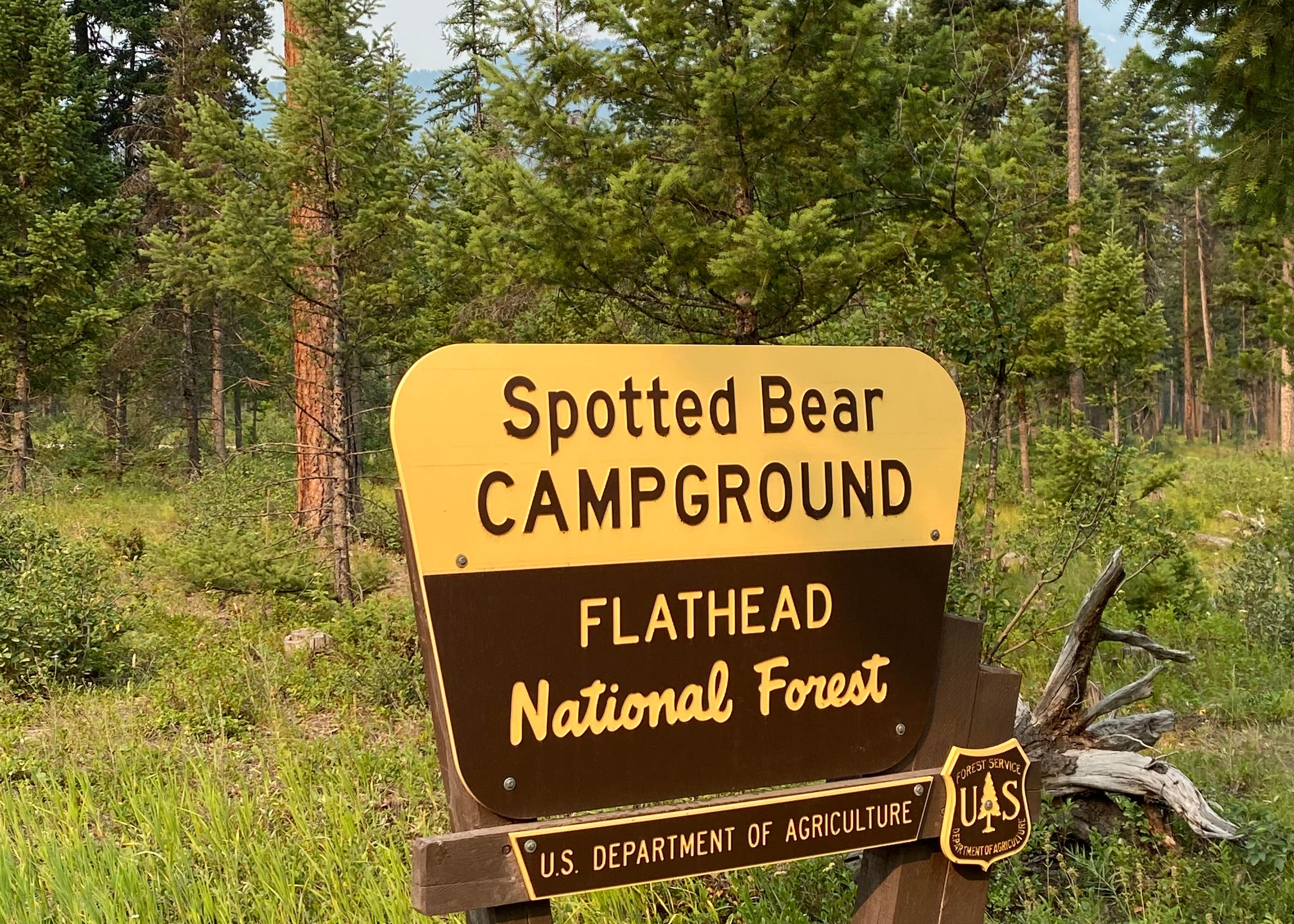 Spotted Bear Camping | The Dyrt