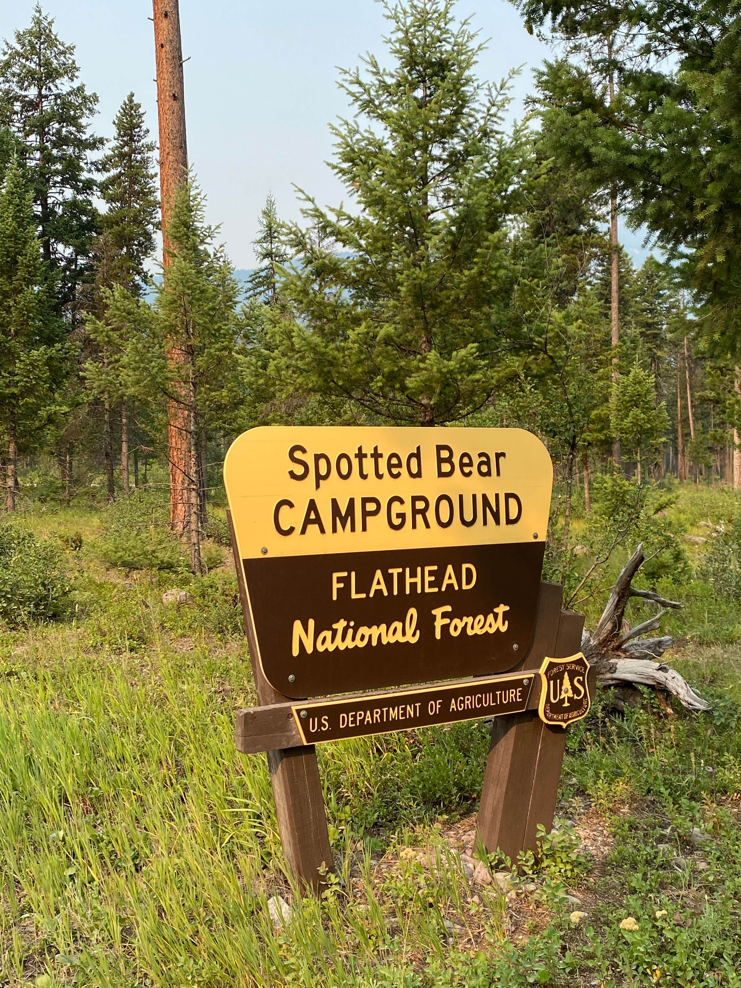 Escape To Wilderness: Your Guide To Montana's Spotted Bear Campground