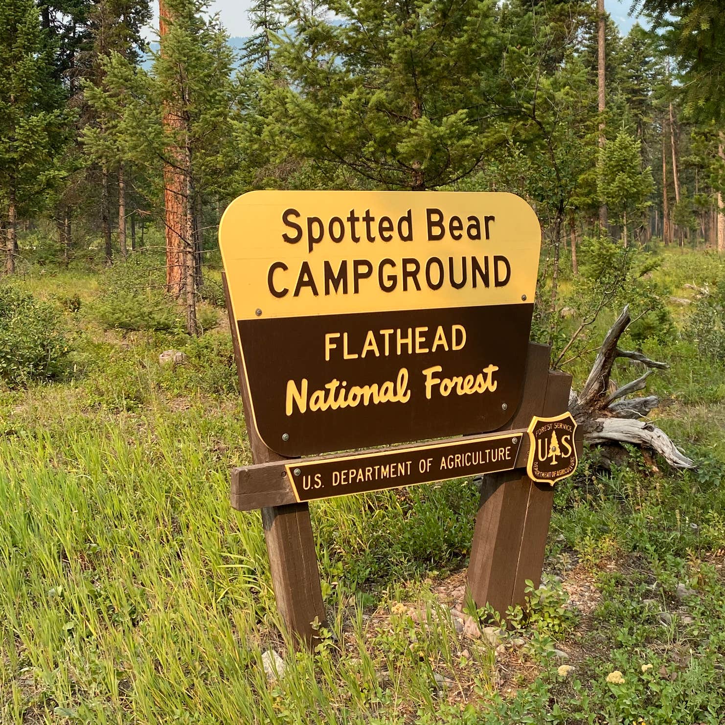 Spotted Bear Camping | Flathead National Forest, Montana