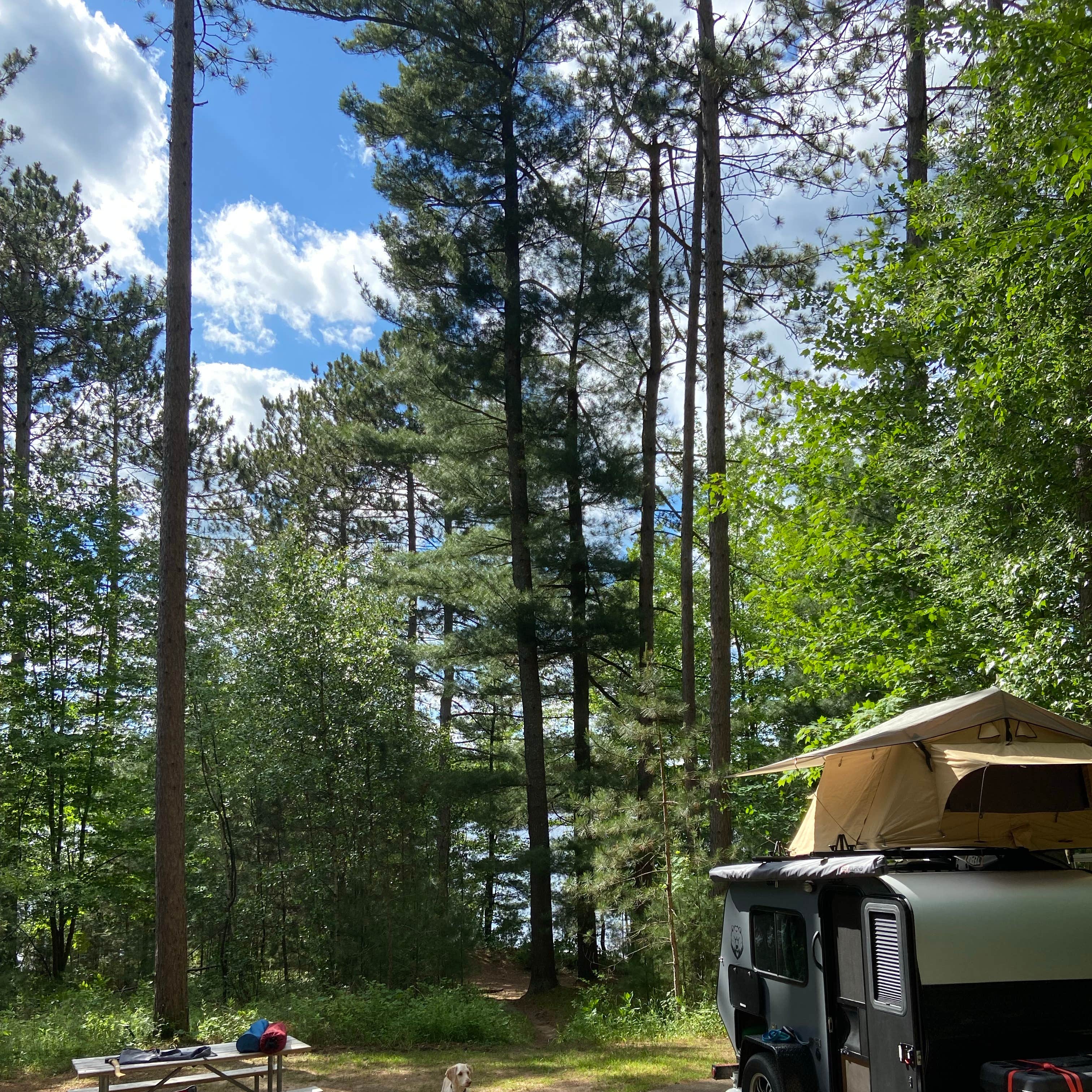Higley Flow State Park Campground | South Colton, New York