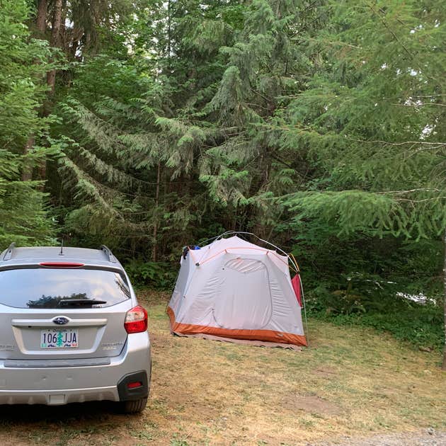 Mckenzie Bridge Camping | The Dyrt