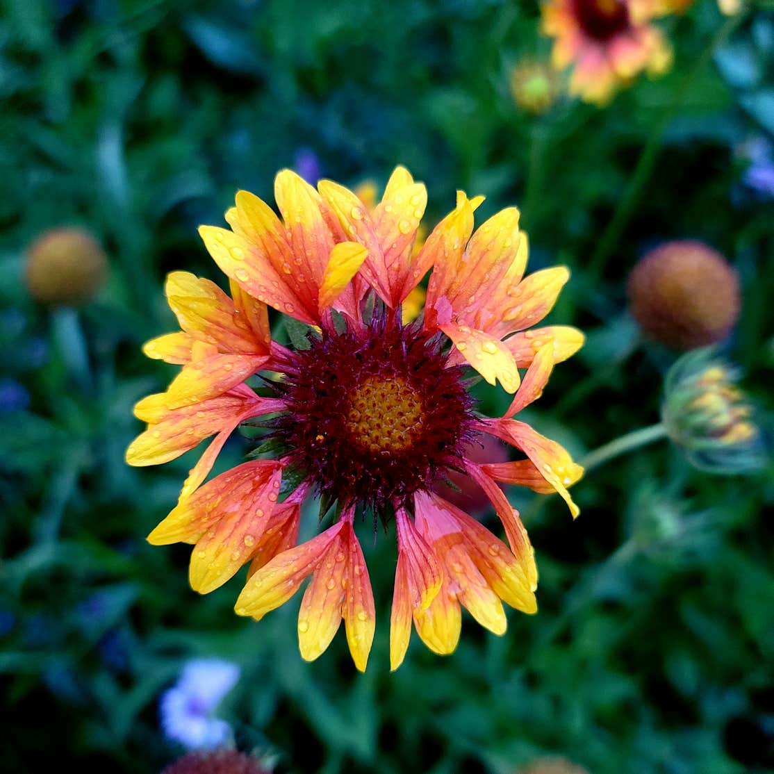 The Last Resort RV Park & Campground | Chromo, Colorado