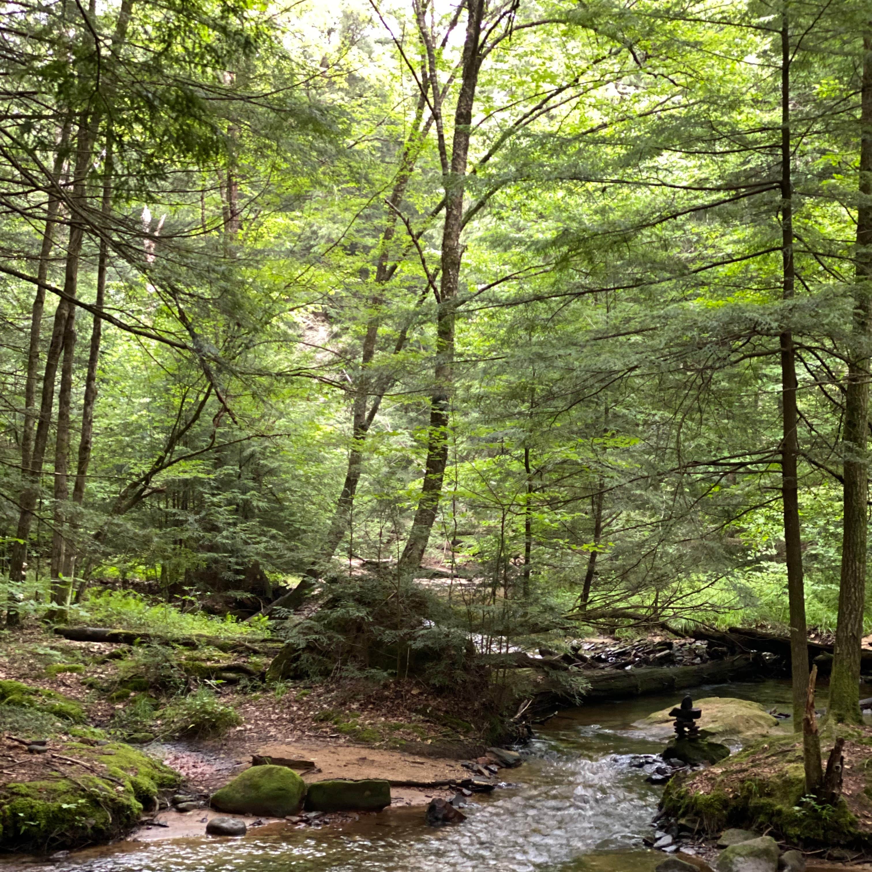 Forest Ridge Campground | Marienville, Pennsylvania