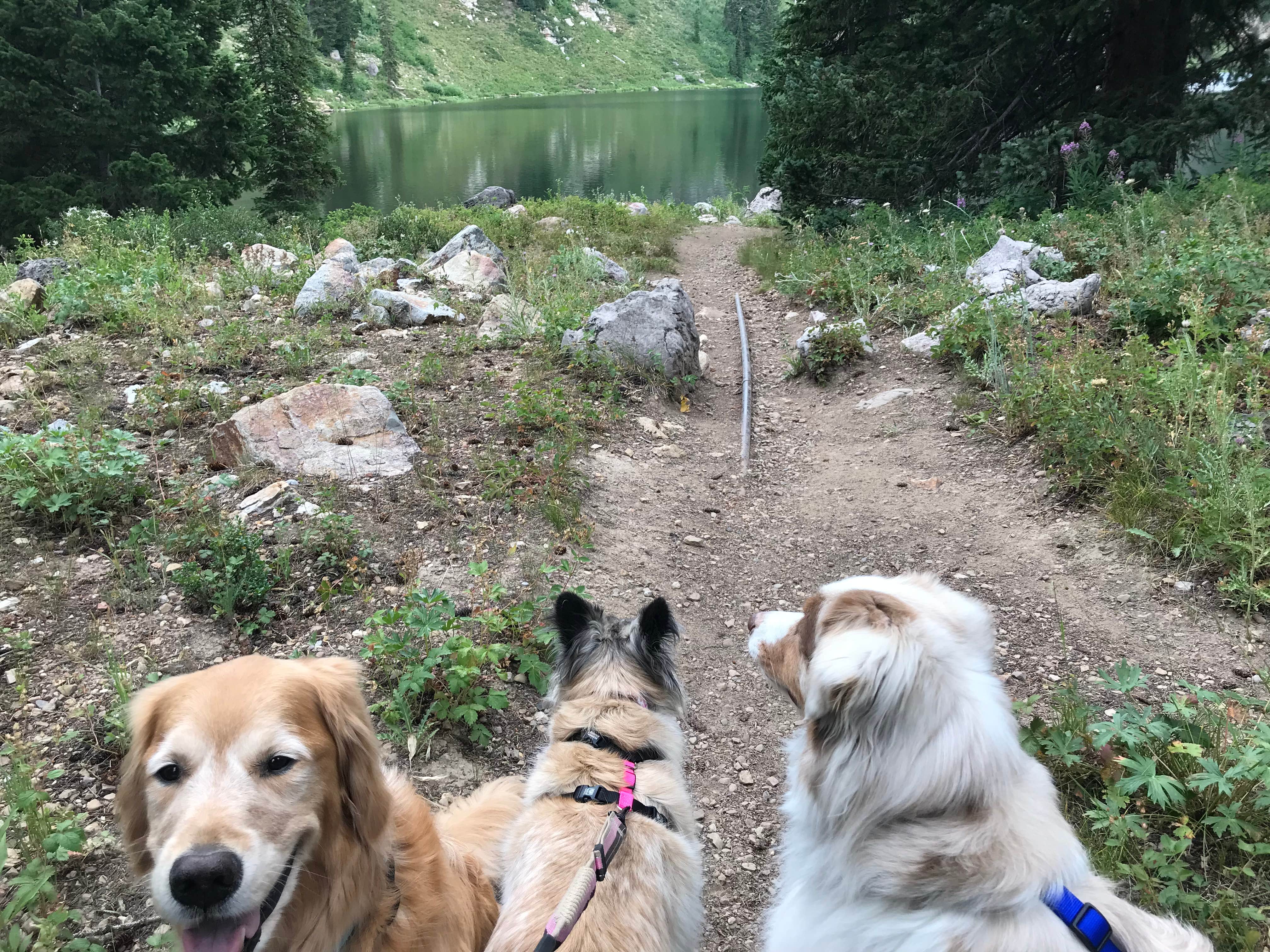 Tony Grove Campground | Richmond, UT