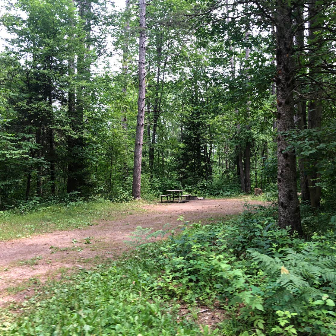 Chipmunk Rapids Camping | The Dyrt