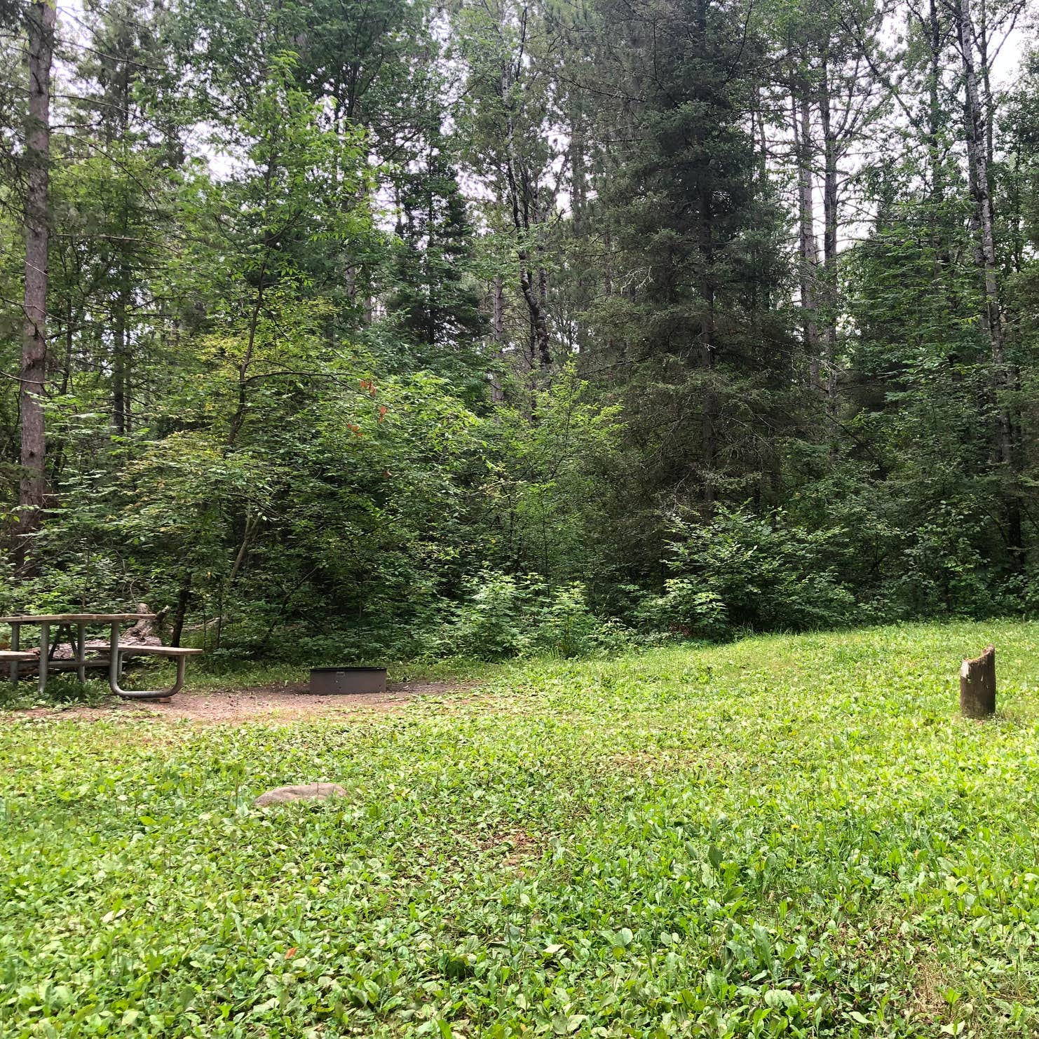 Chipmunk Rapids Camping | The Dyrt