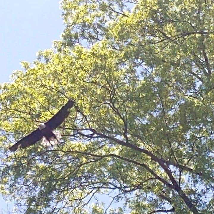 Narrowsburg Campground | Narrowsburg, NY