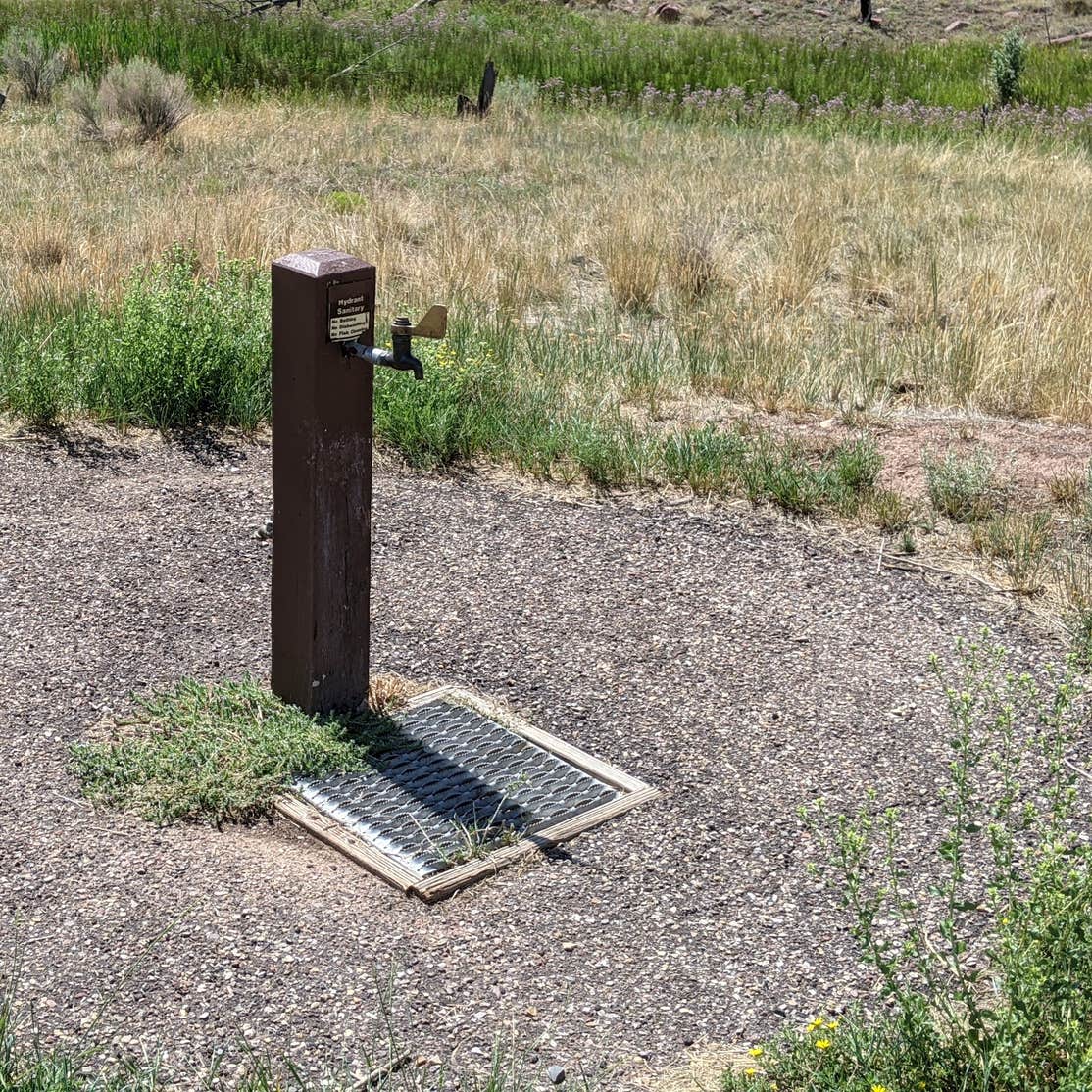 Dripping Springs Campground (UT) | Manila, UT