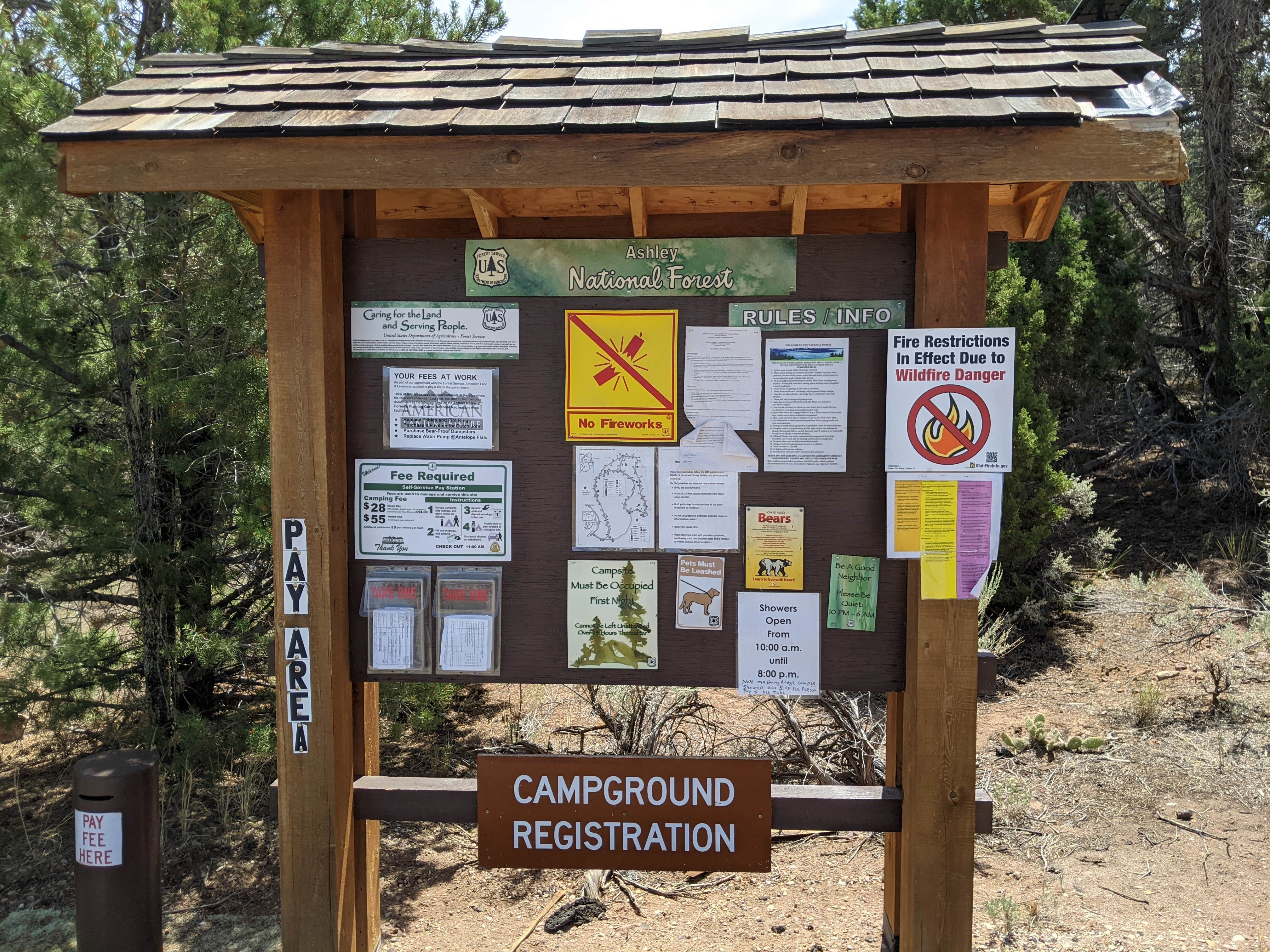 Best camping in Ashley National Forest | The Dyrt