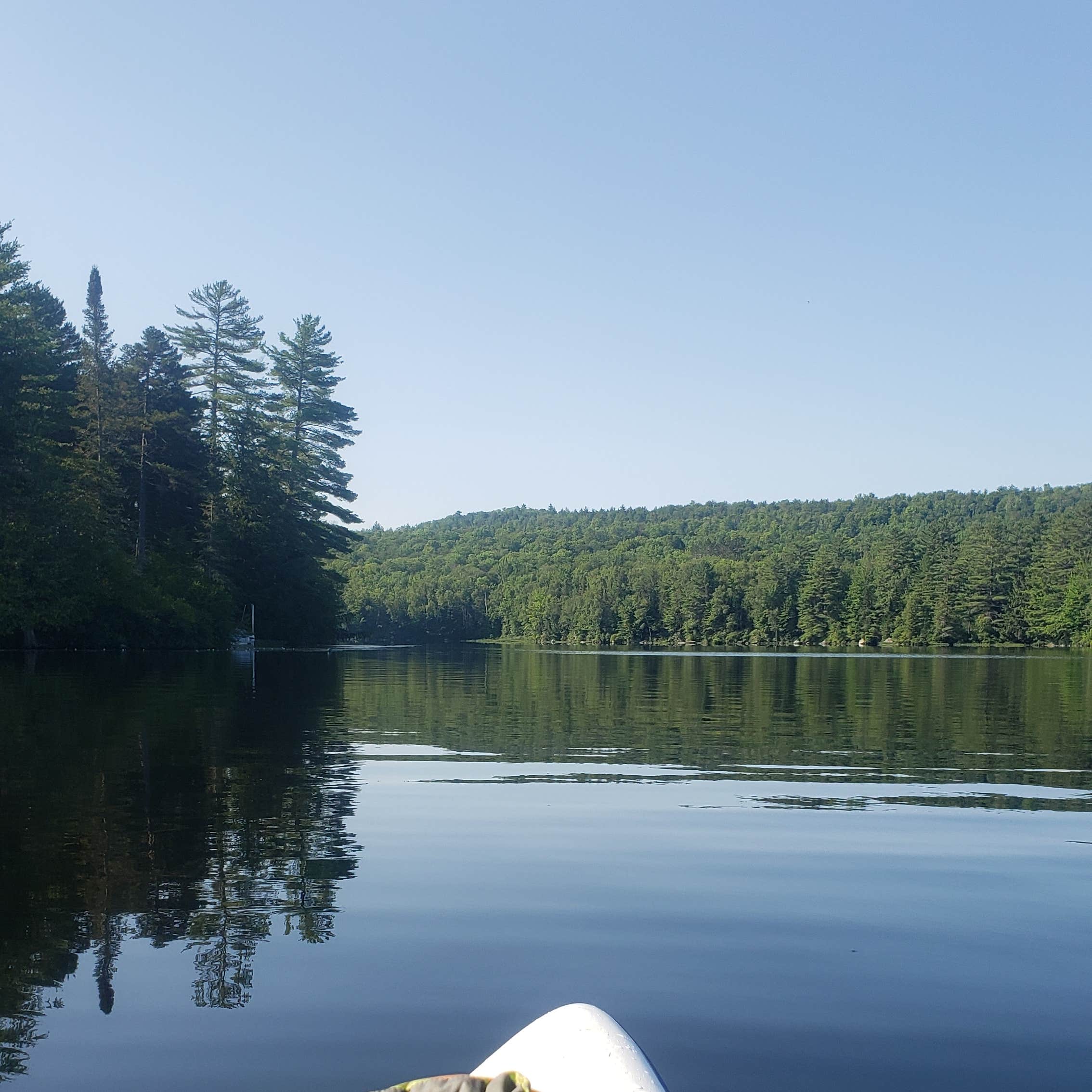 Ricker Pond State Park Campground | Groton, Vermont