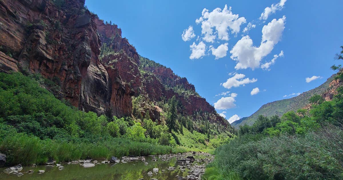 Box Elder Camping | Dove Creek, Colorado