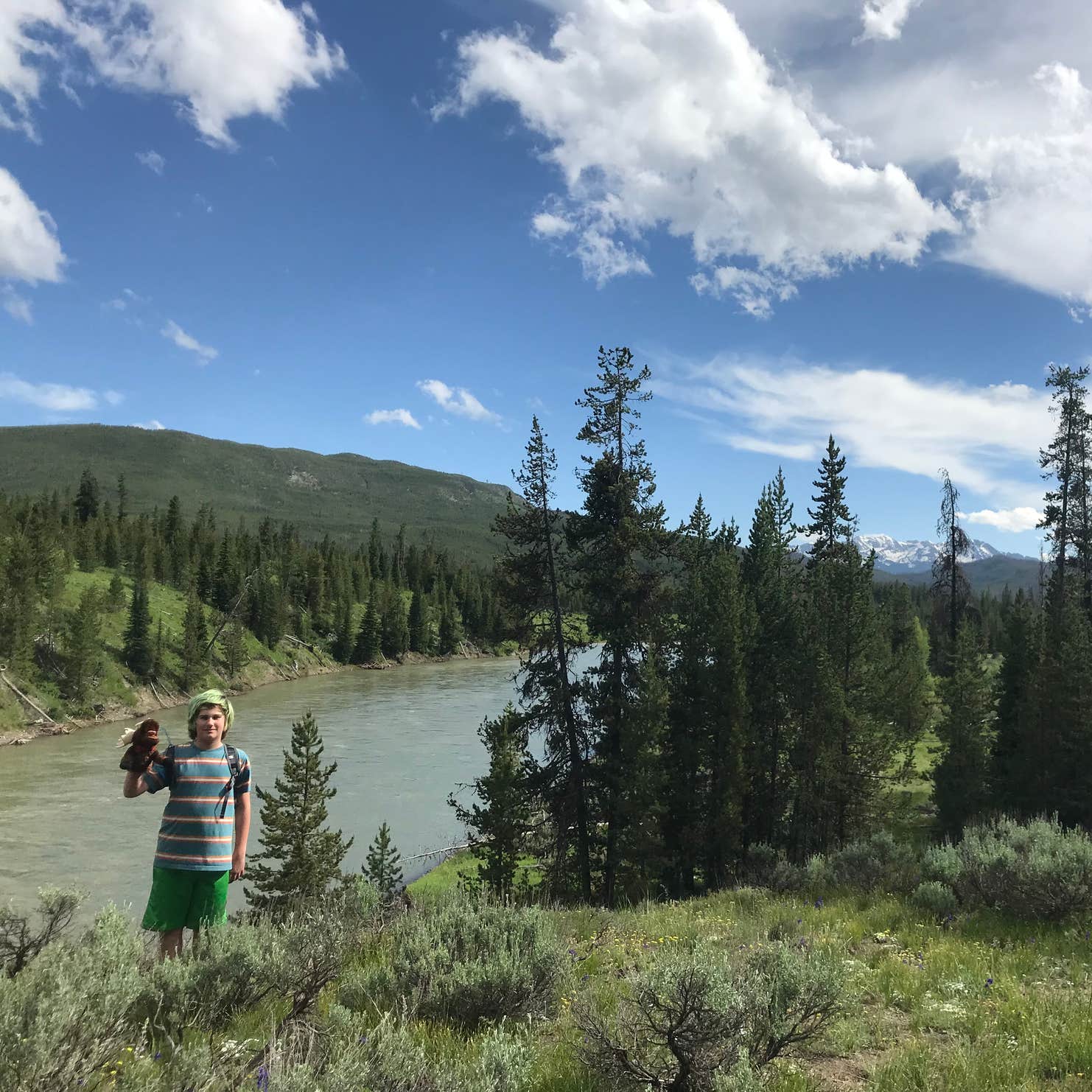 Headwaters Campground at Flagg Ranch Camping | The Dyrt