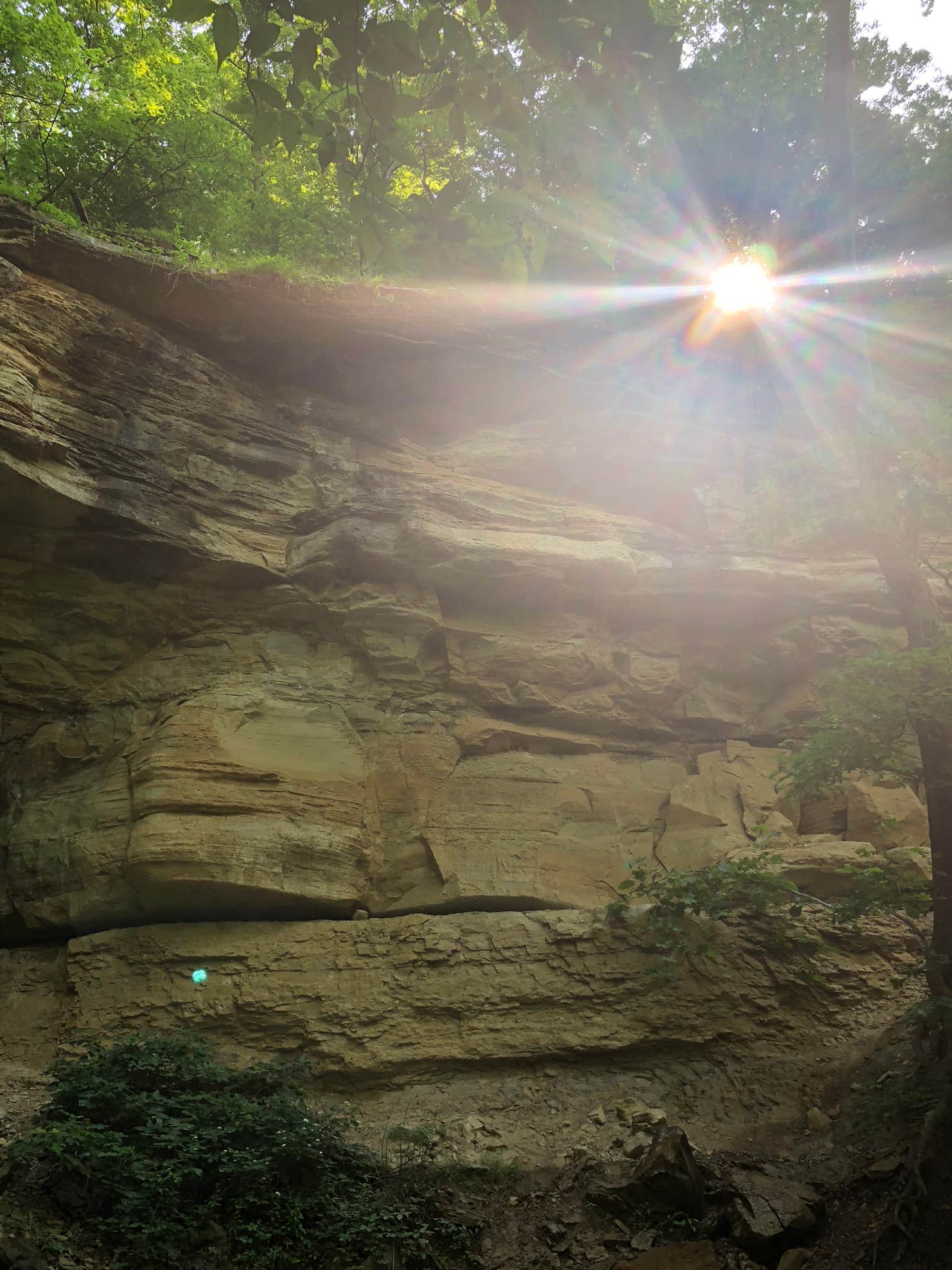 Clifty Falls State Park Camping | The Dyrt