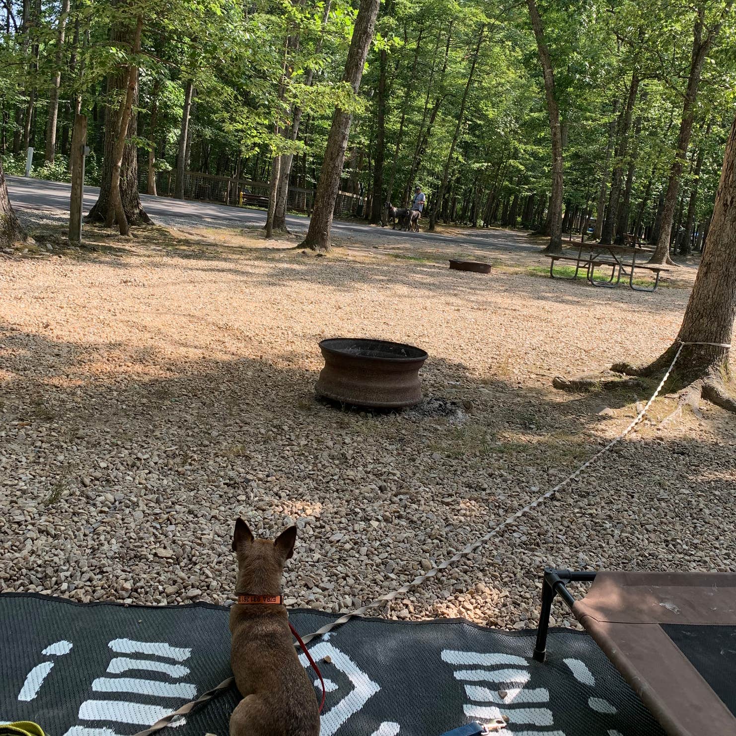 Sun Retreats Shenandoah Valley Camping | Stuarts Draft, VA