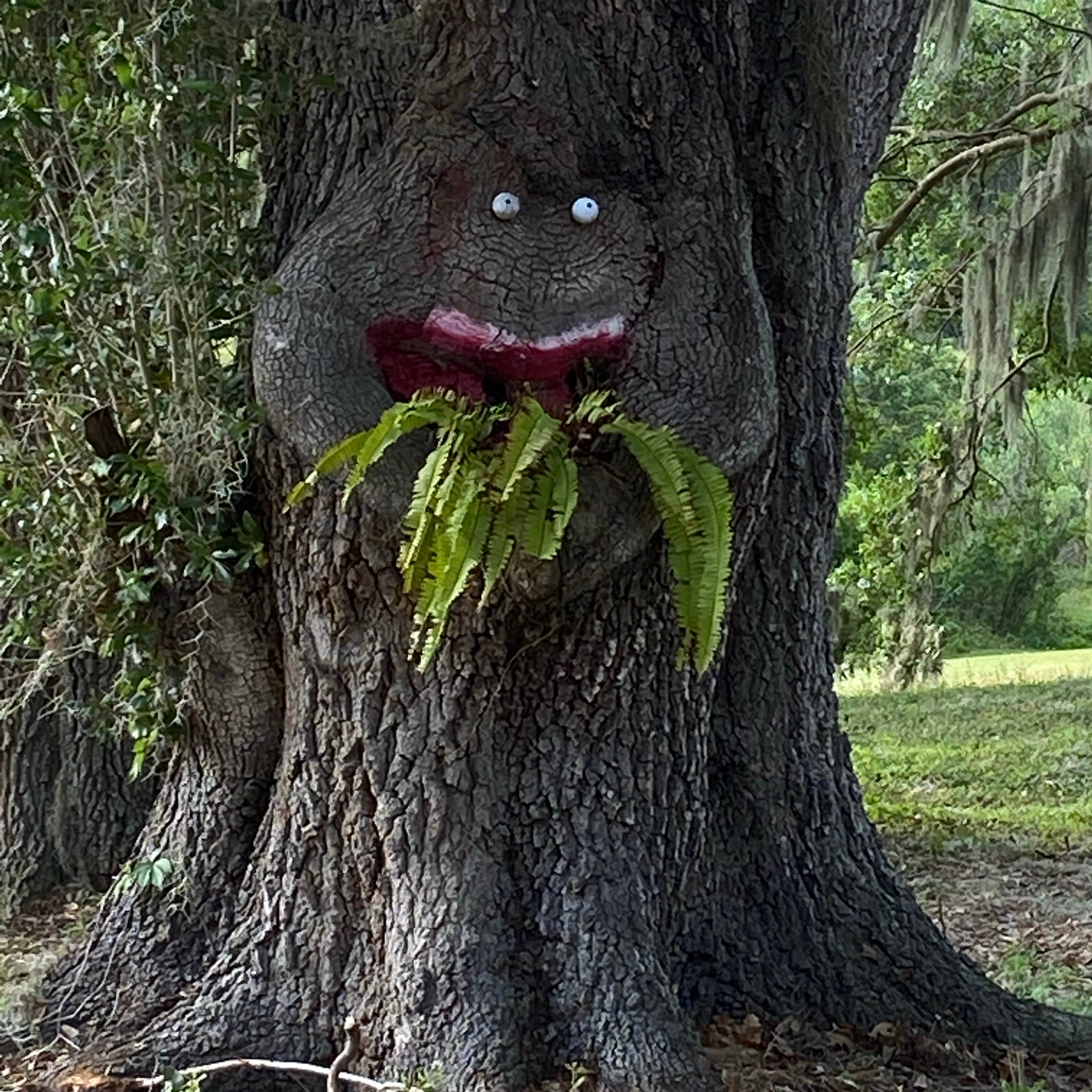 Sanlan RV & Golf Resort Camping | The Dyrt