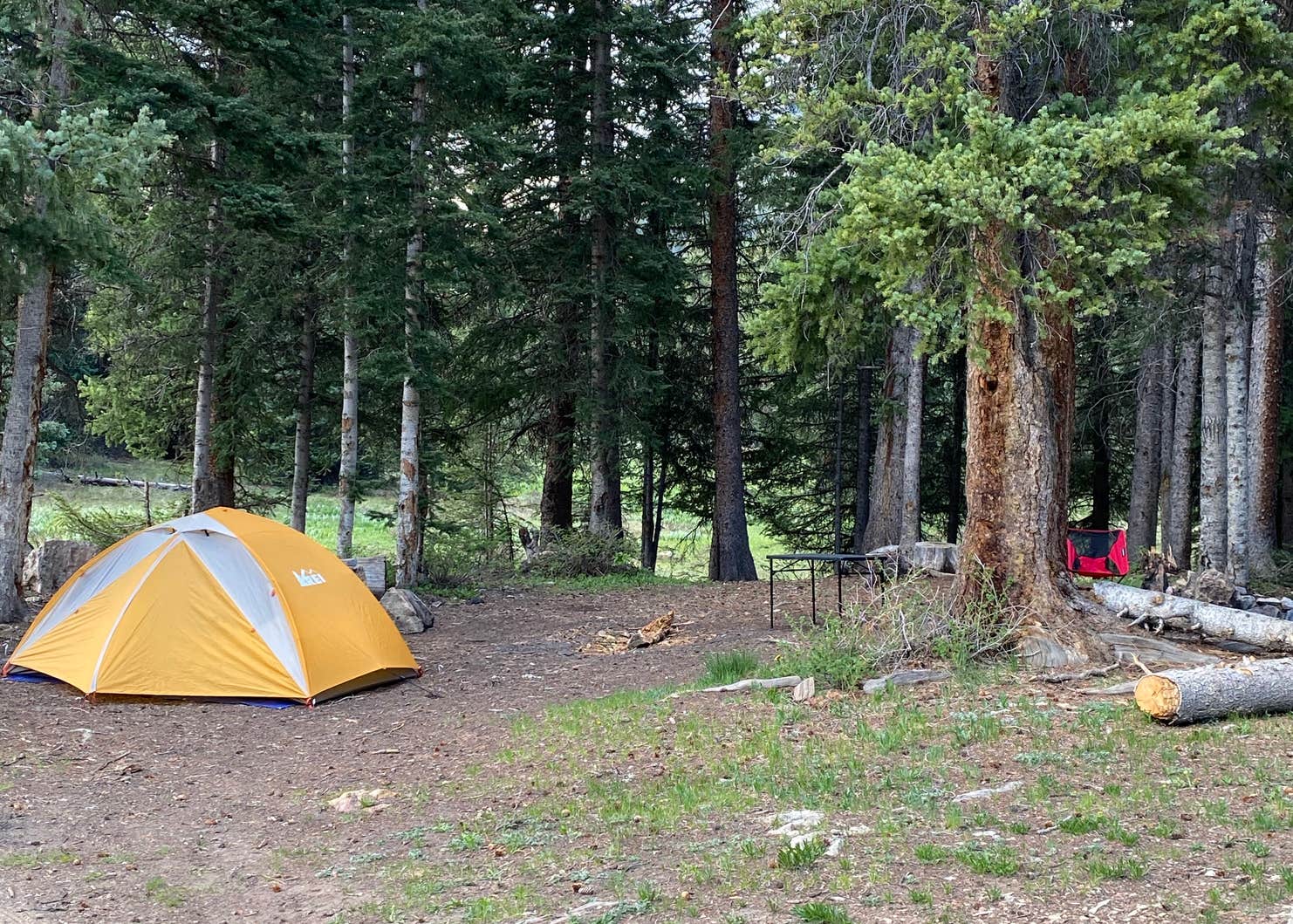 Lizard Head Pass Dispersed Camping Camping | The Dyrt