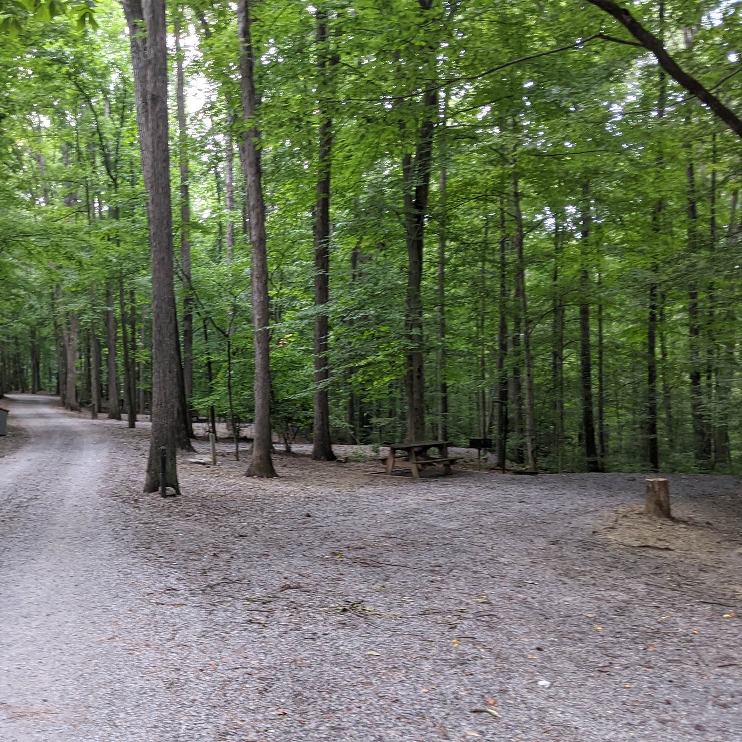 Sugar Hollow Campground | Bristol, Virginia