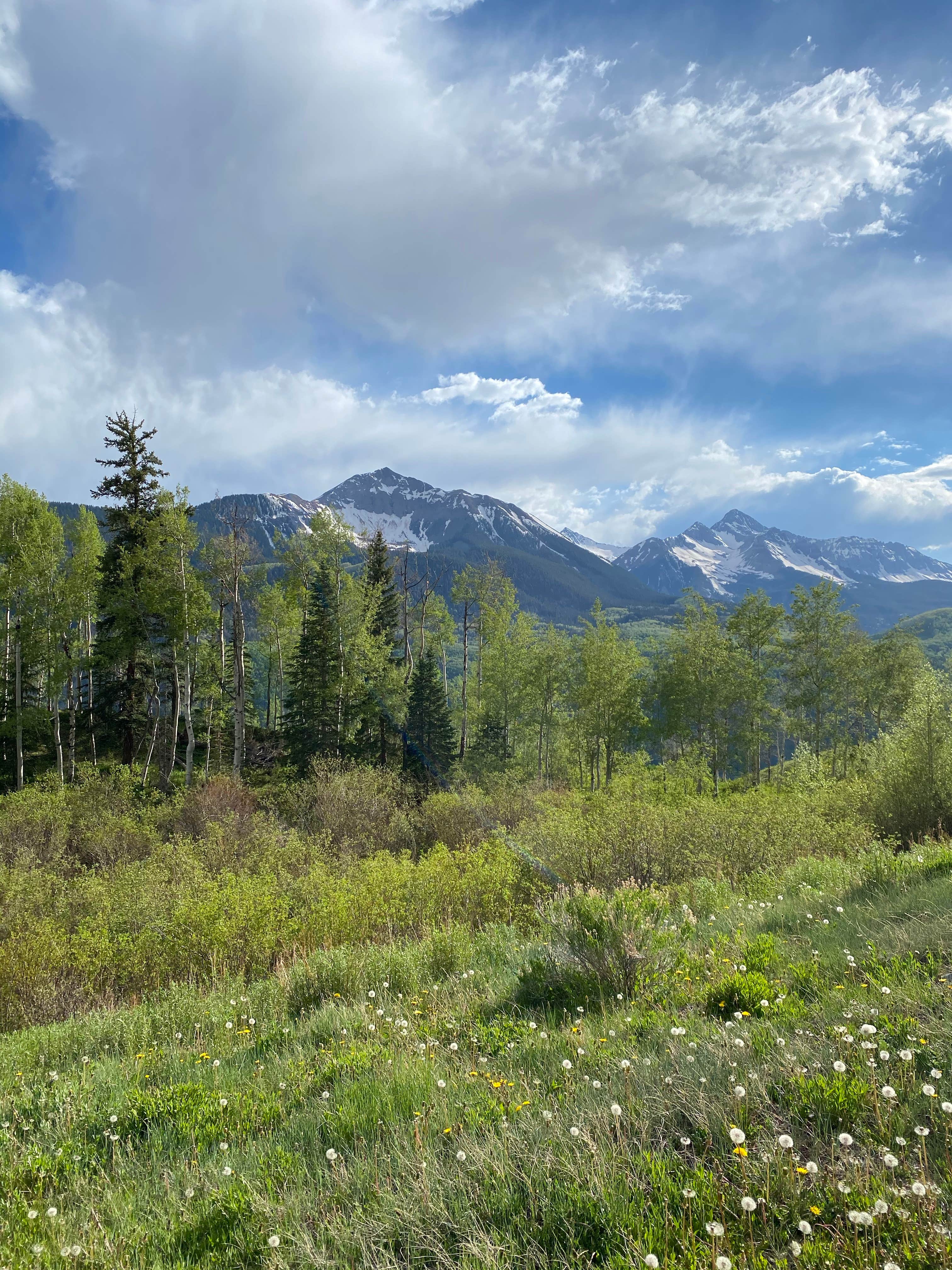 Sunshine Campground | The Dyrt