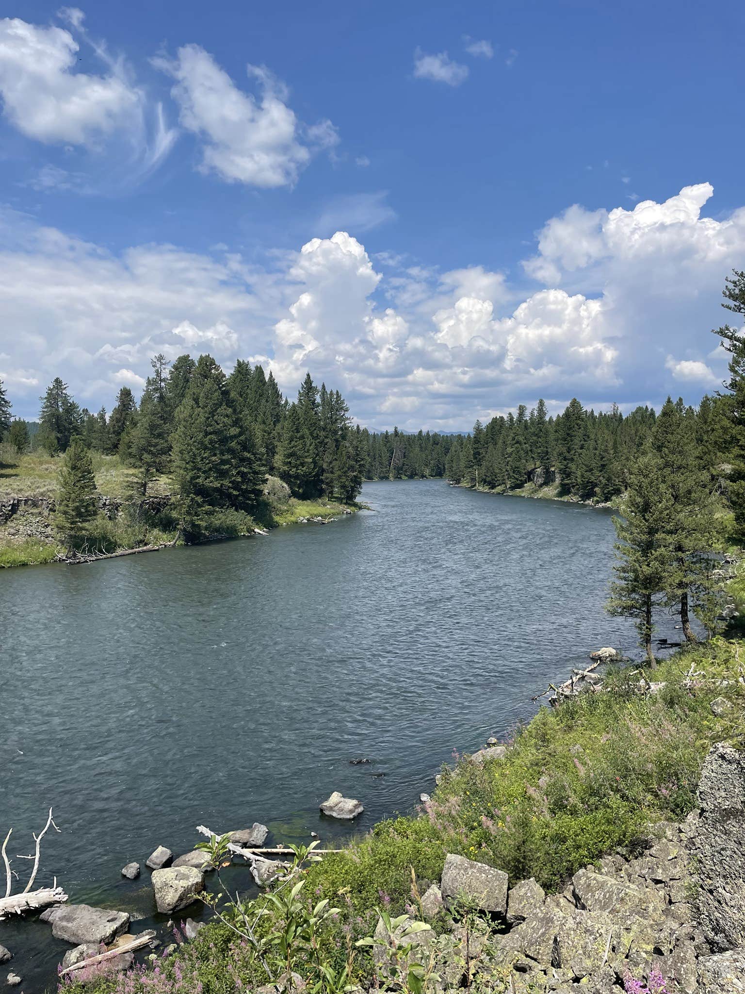 Buffalo Run Campground | Island Park, ID