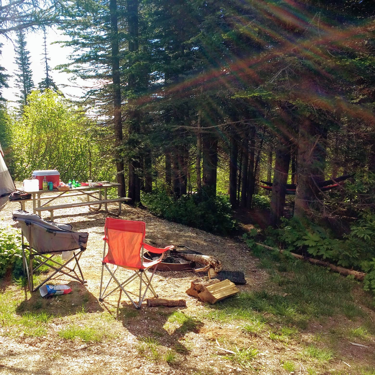 Bald Knob Campground — Mount Spokane State Park | Mead, WA