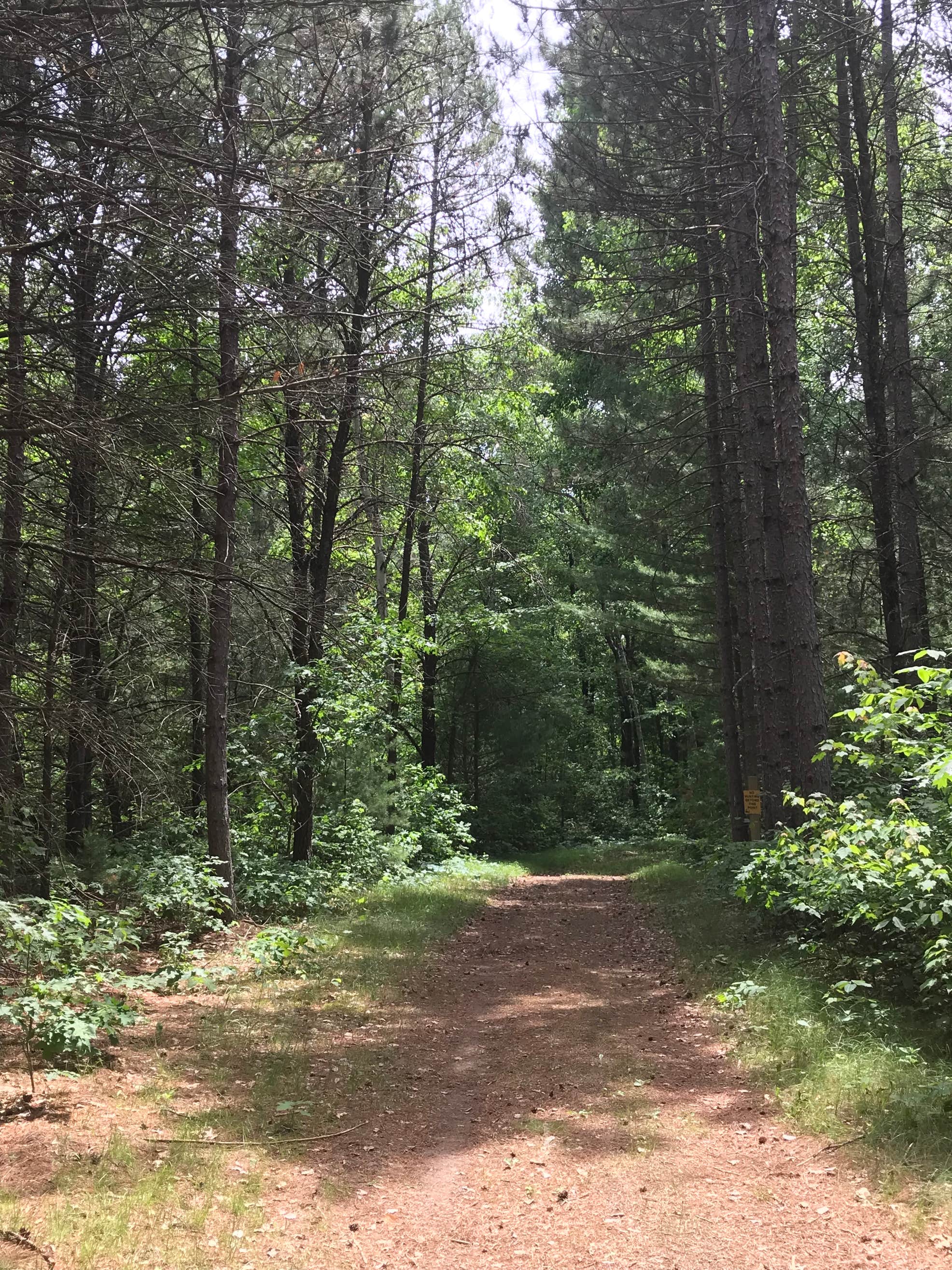 Lake Wissota State Park Camping | The Dyrt