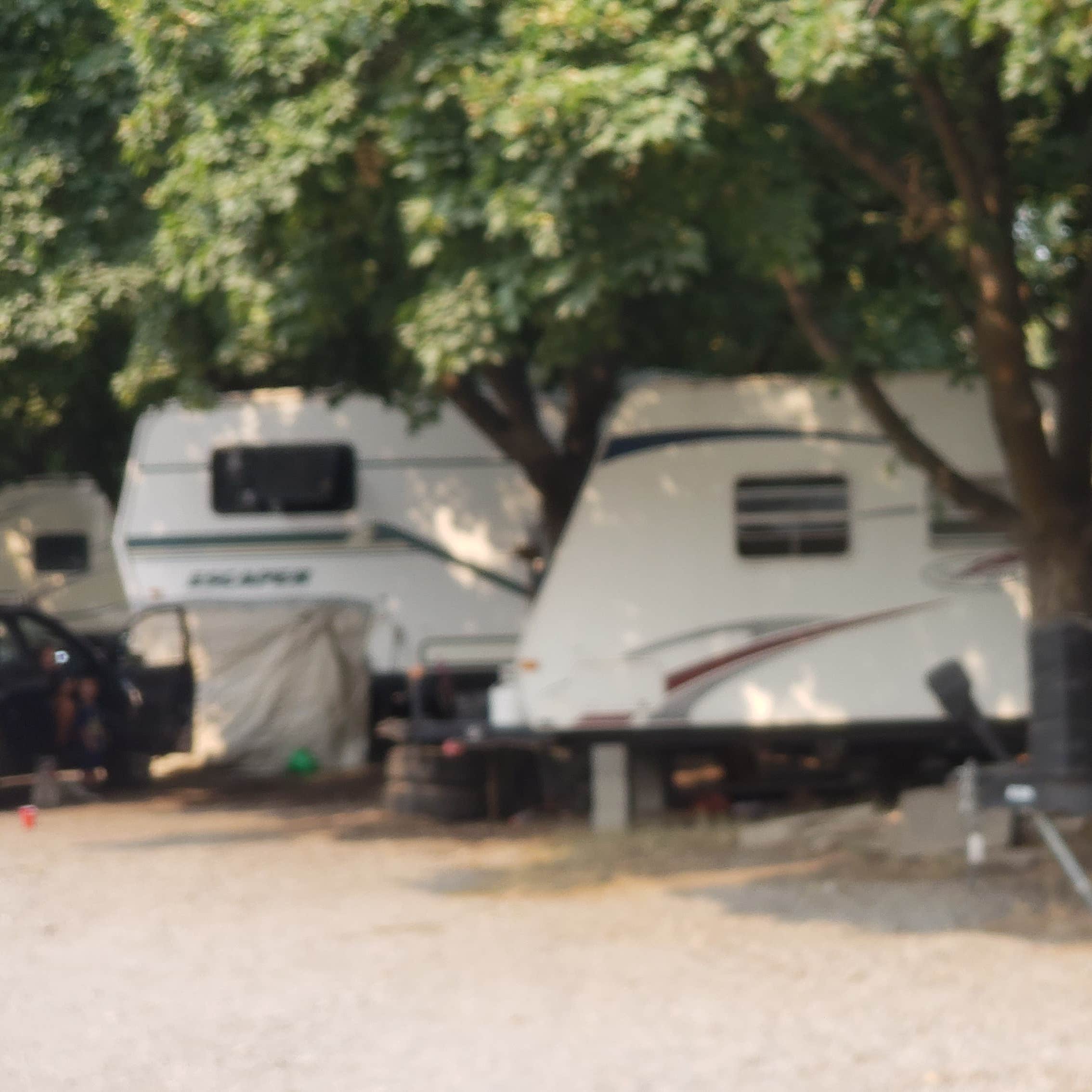Suntree RV Park Camping | The Dyrt