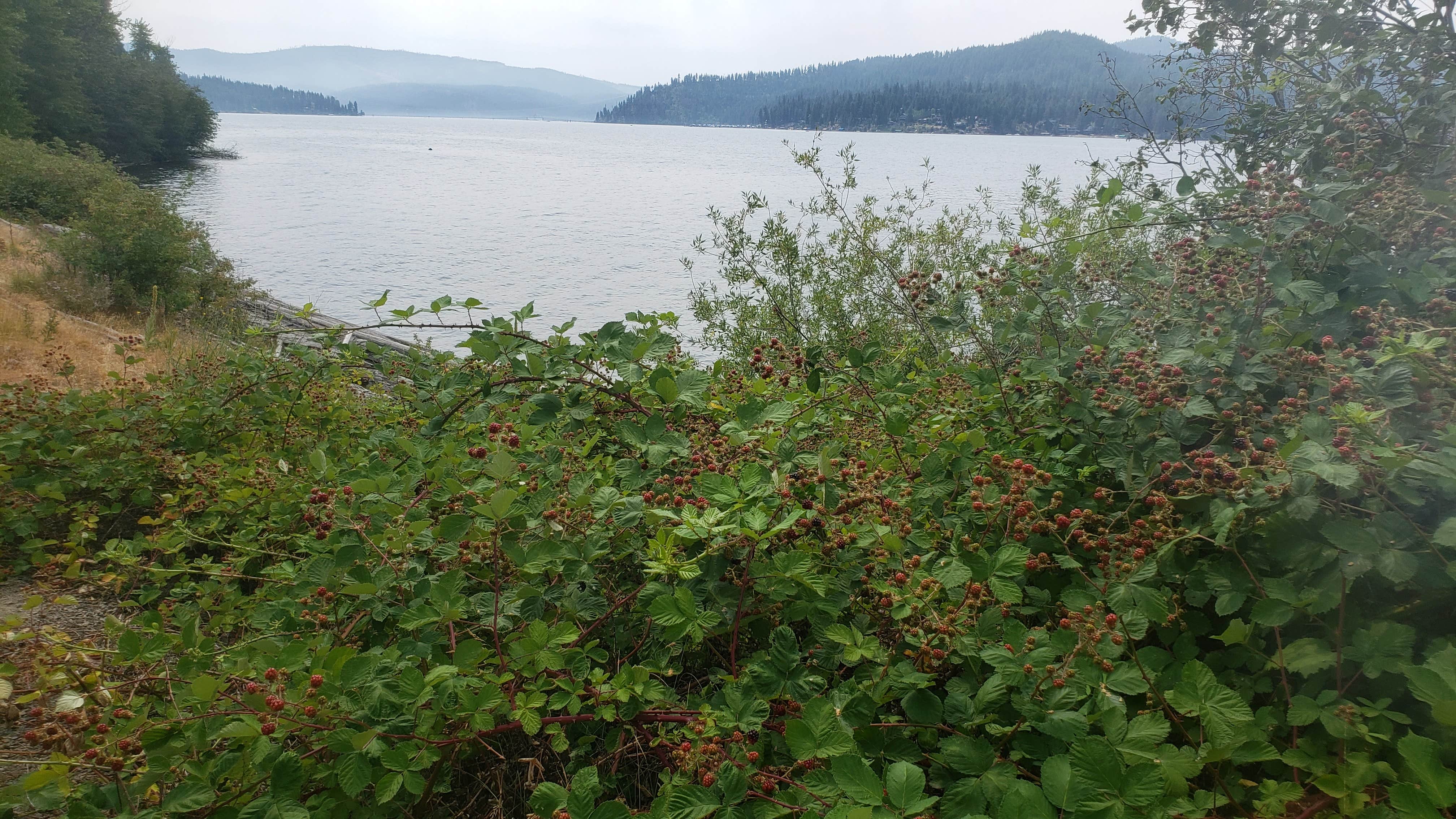 City of Harrison RV Park & Campground | Harrison, ID