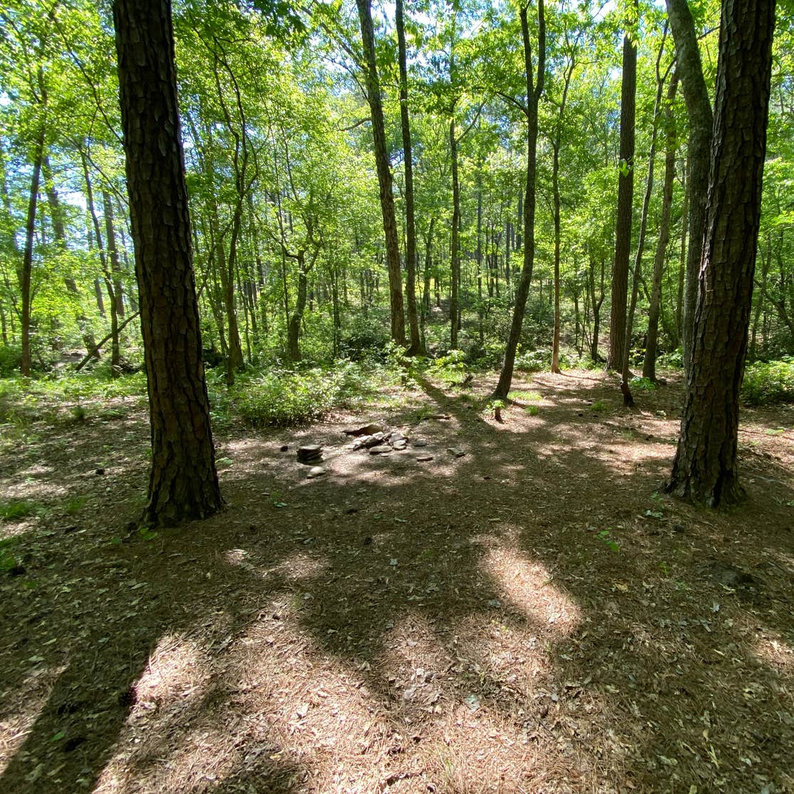 Cheaha Falls Campground | Munford, Alabama