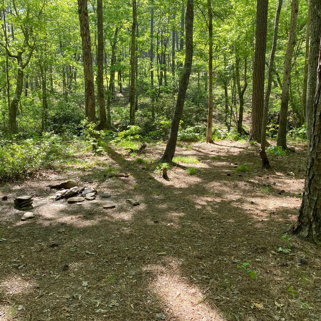 Cheaha Falls Campground | Munford, Alabama