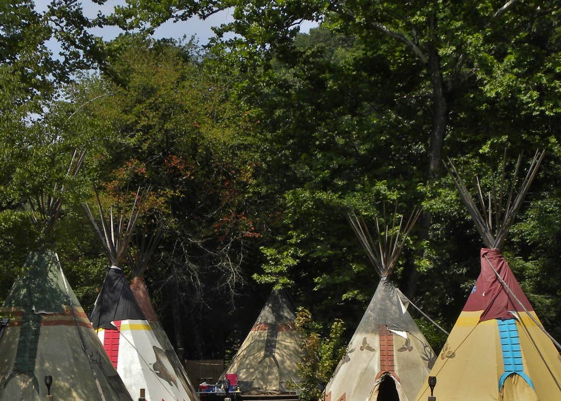 Grumpy Bear Campground Camping | Bryson City, NC | The Dyrt