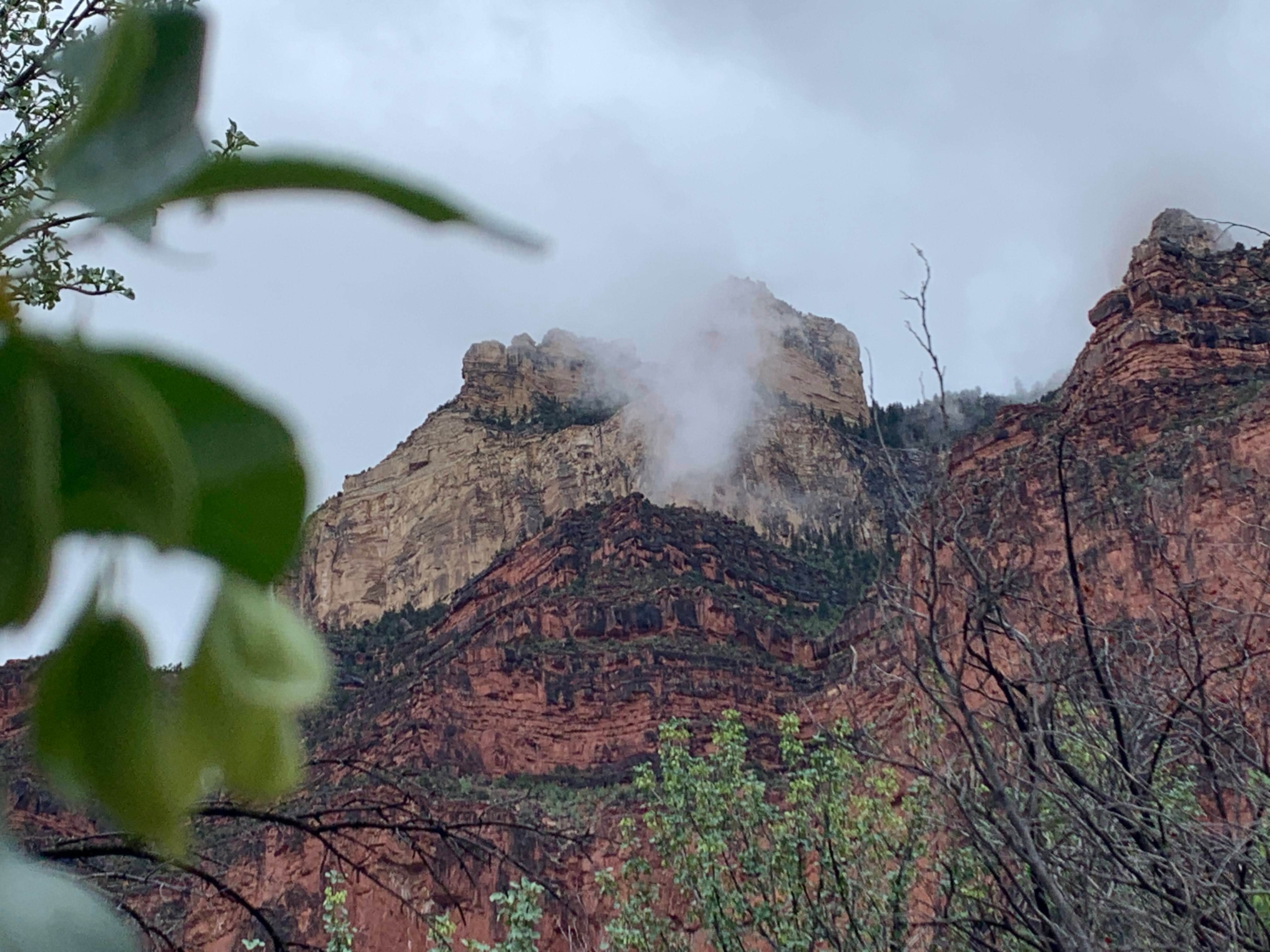 Horn Creek Campsites — Grand Canyon National Park | Grand Canyon, AZ