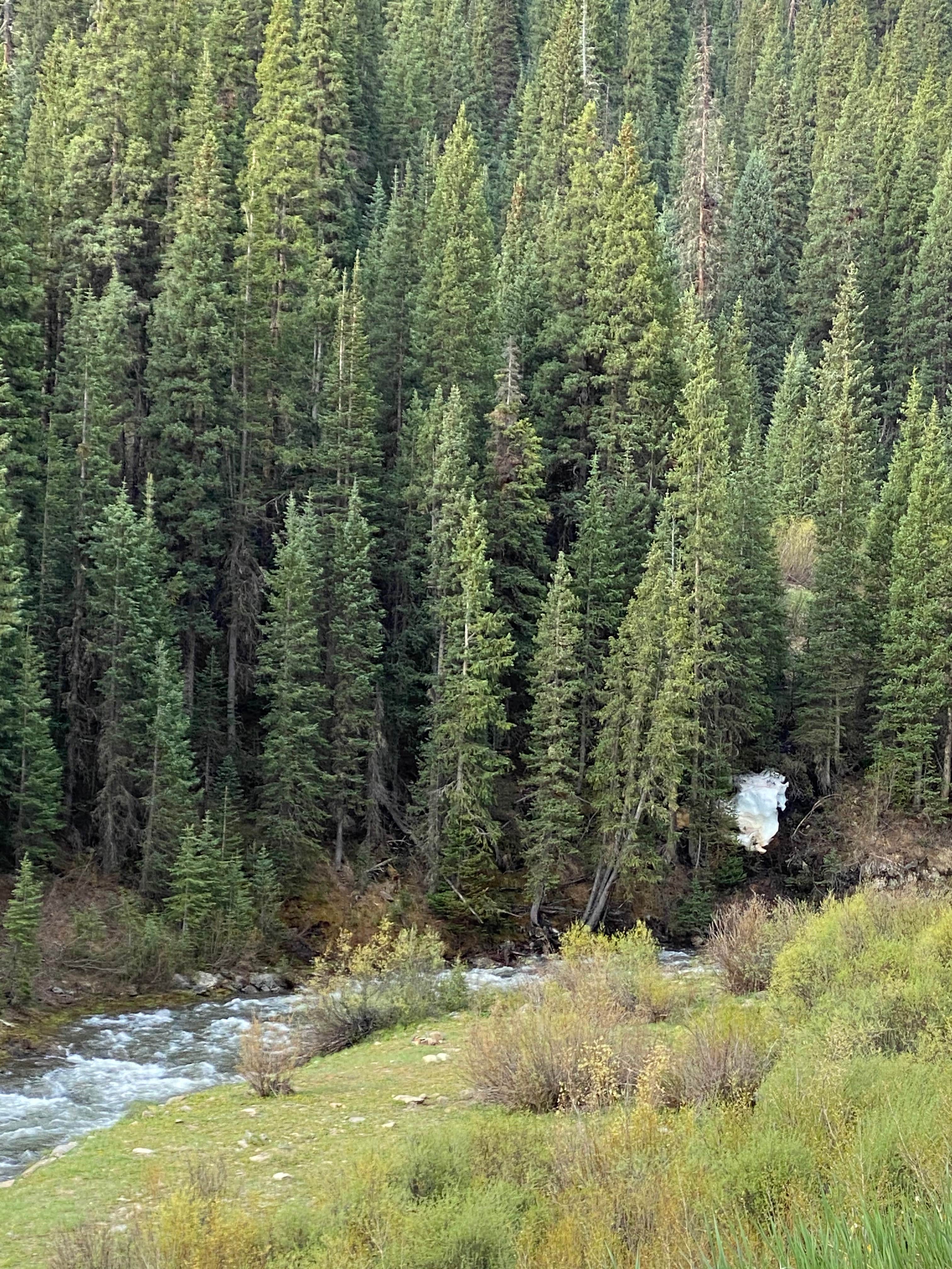 Sultan Dispersed Camping | Silverton, CO