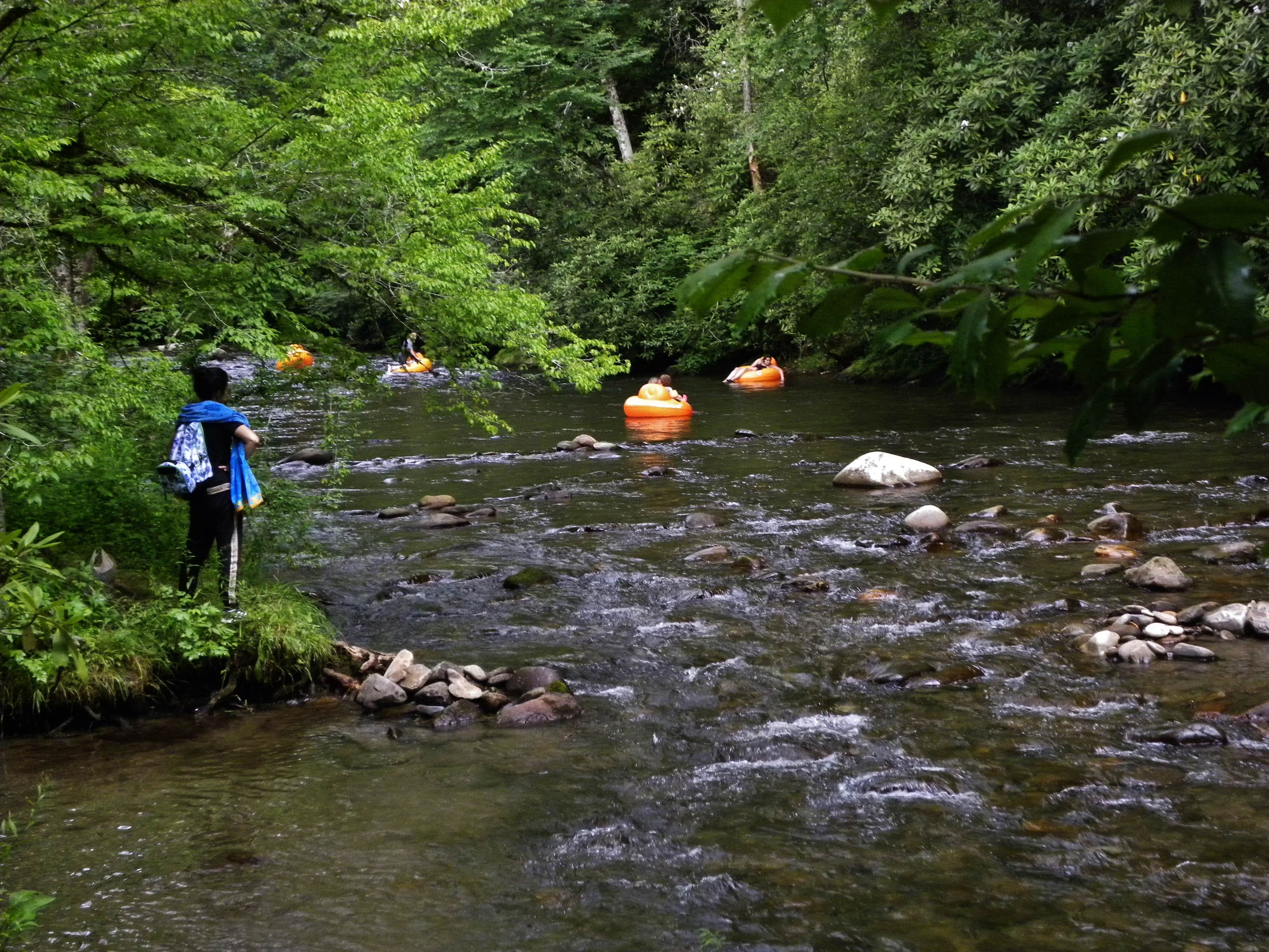 Deep Creek Campground — Great Smoky Mountains National Park | Bryson ...