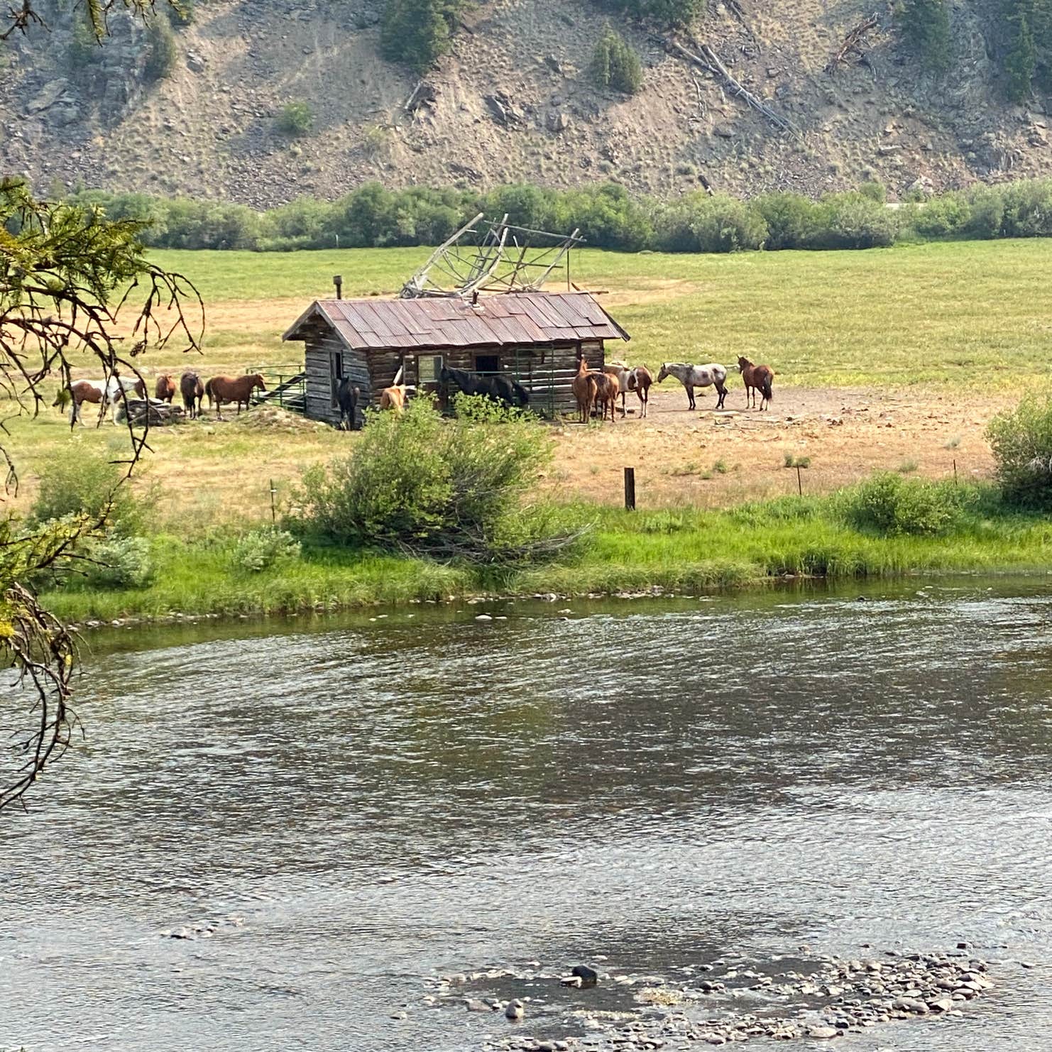 Dickie Bridge Camping | Wise River, MT