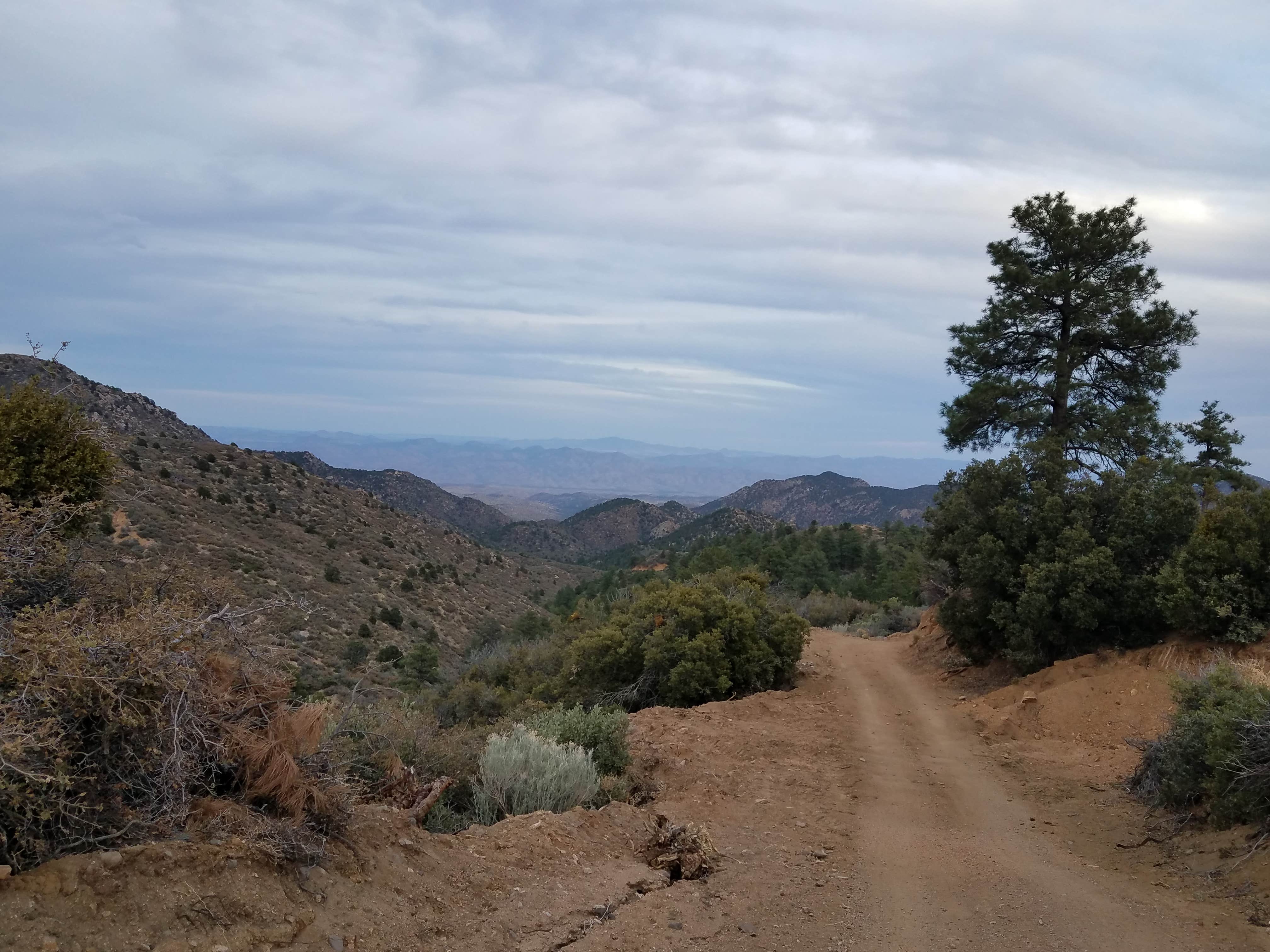Hualapai Mountain Park Camping | Kingman, AZ