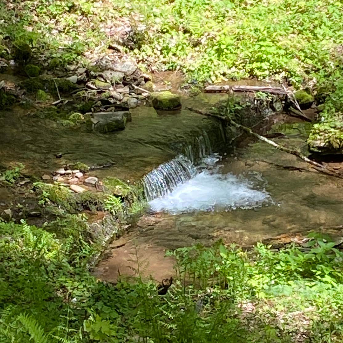 Ole Bull State Park Campground | Cross Fork, PA