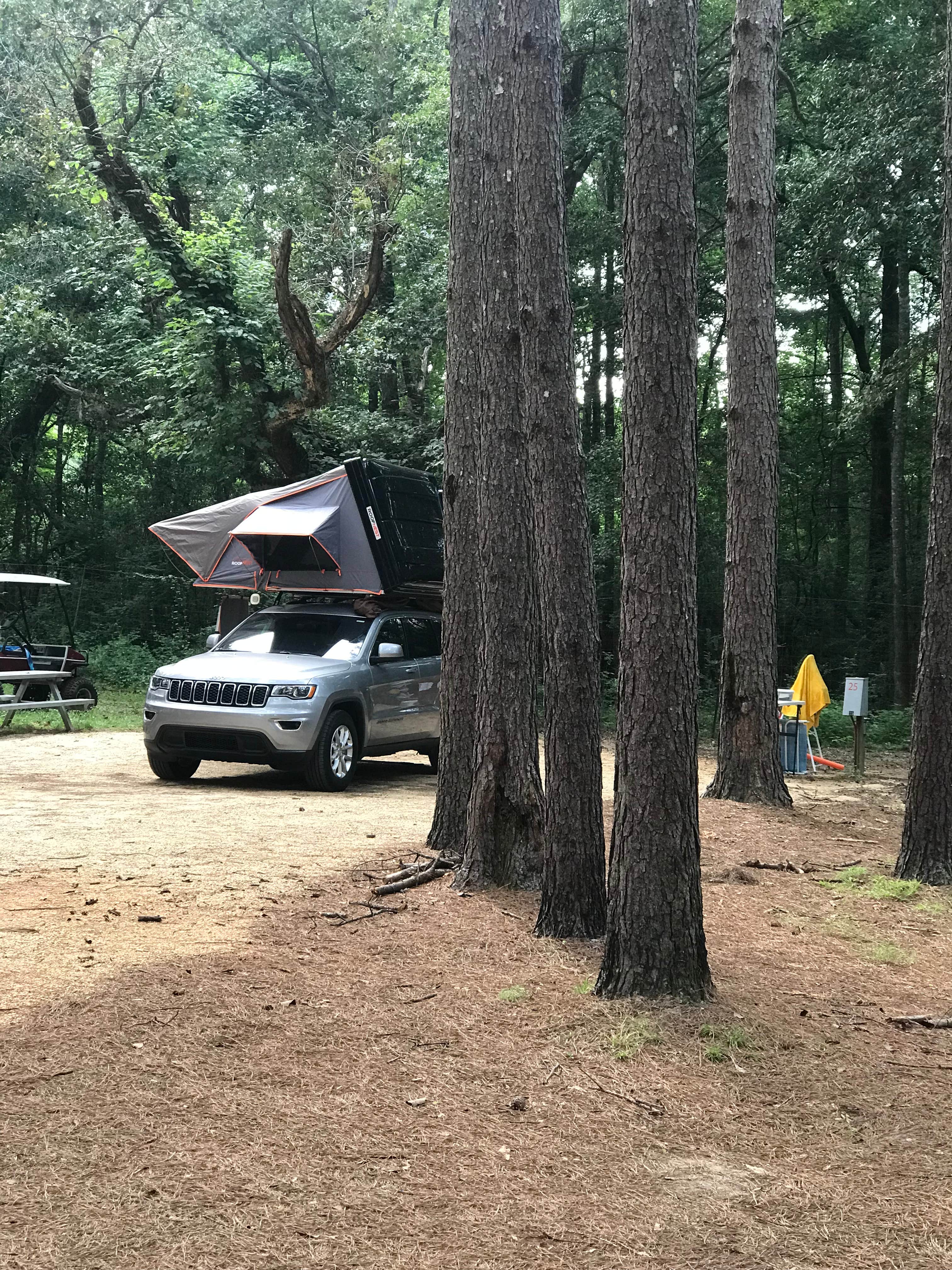 Paradise Ranch RV Resort | The Dyrt