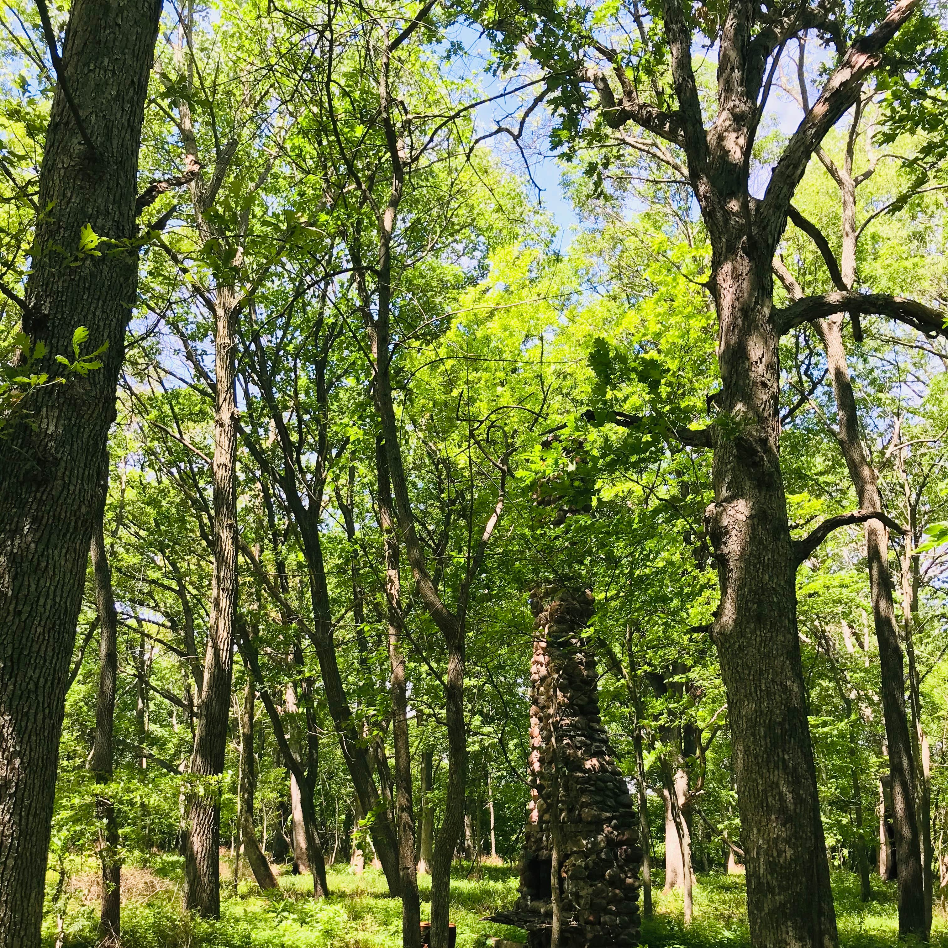 Ledges State Park Campground | Boone, Iowa