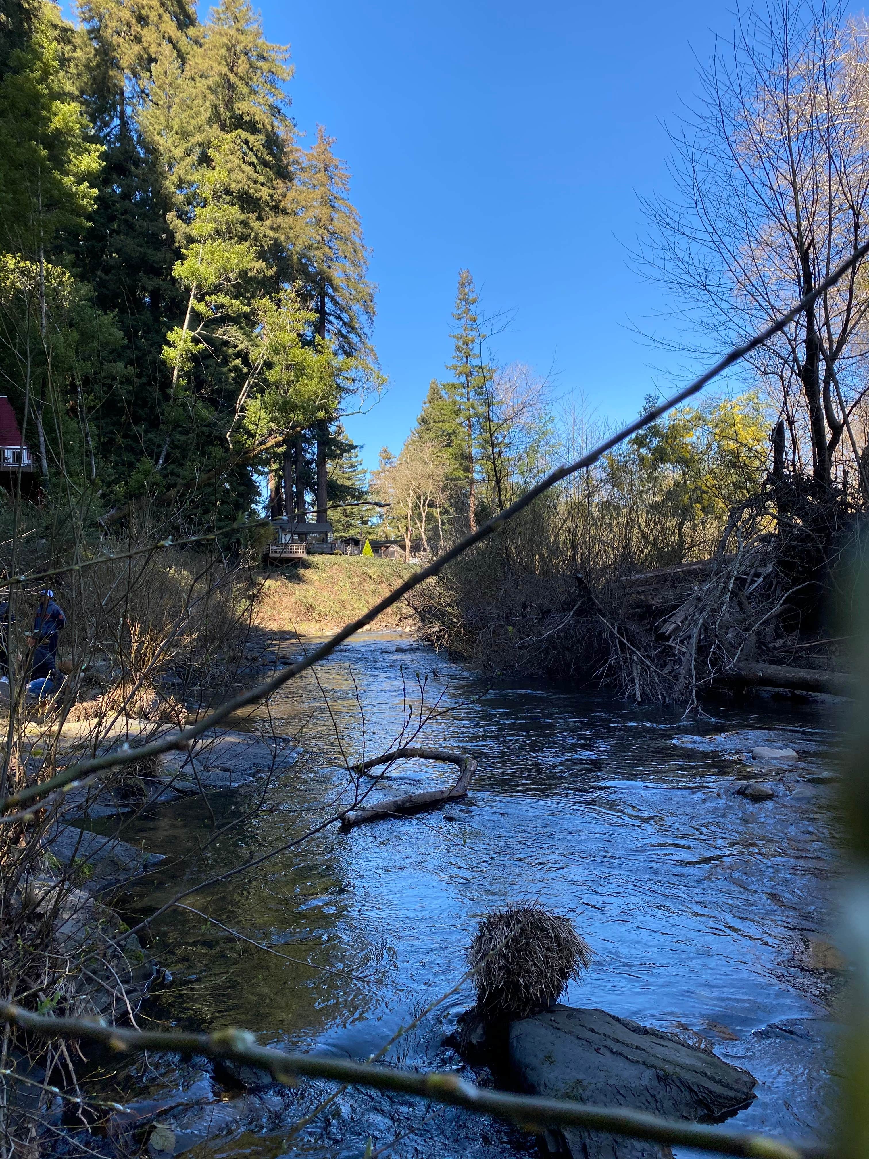 Santa Cruz Redwoods RV Resort | Felton, CA