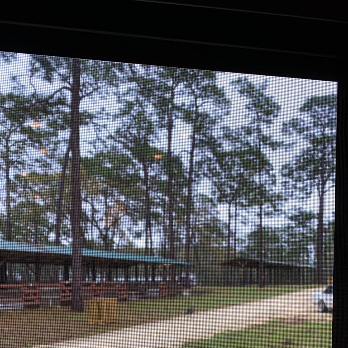 Welaka State Forest Camping | The Dyrt